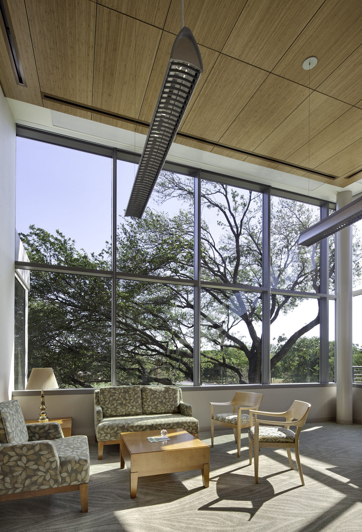 Botanical Research Institute of Texas Headquarters | Corgan | Archinect