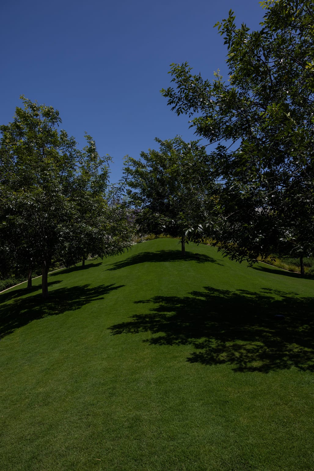 New construction photos reveal MAD's near-complete Lucas Museum of ...