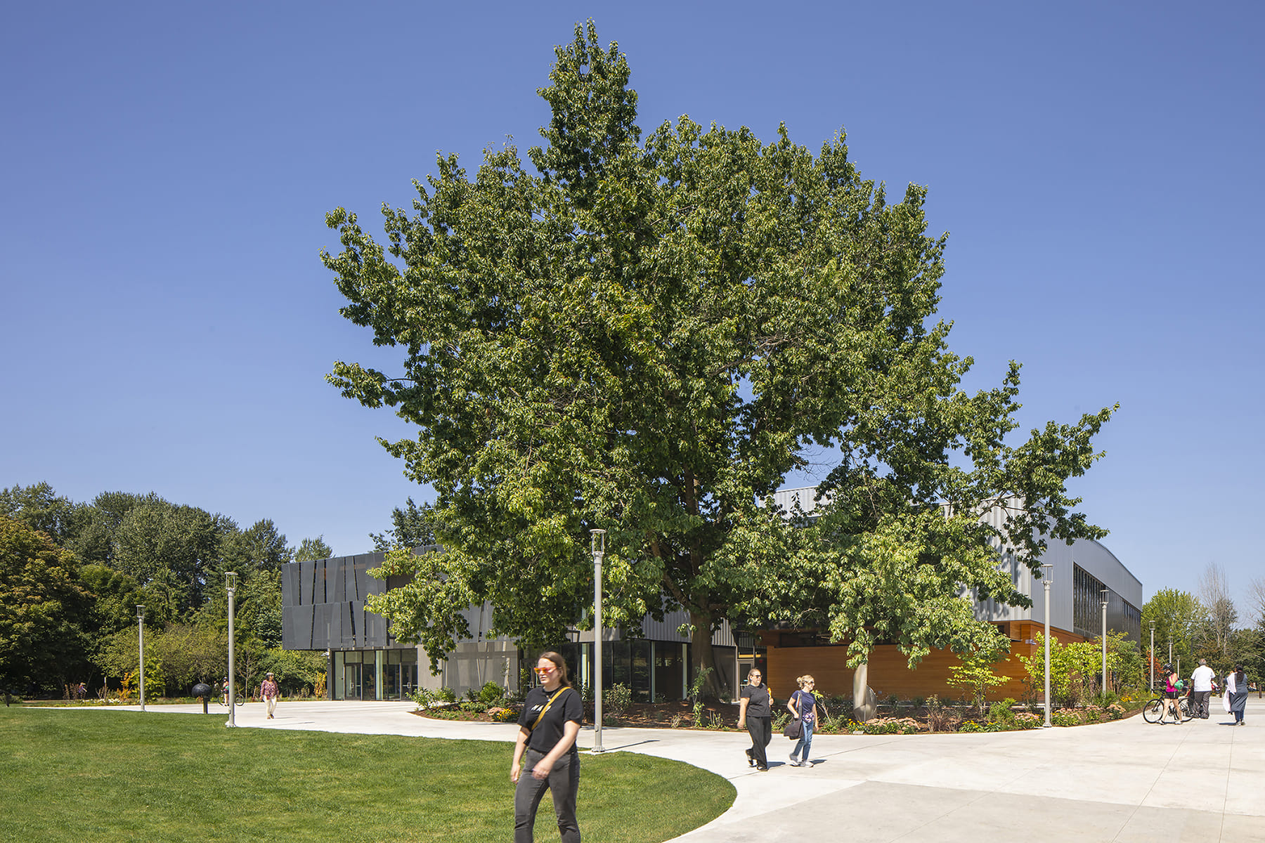 Redmond Senior & Community Center | Opsis Architecture | Archinect