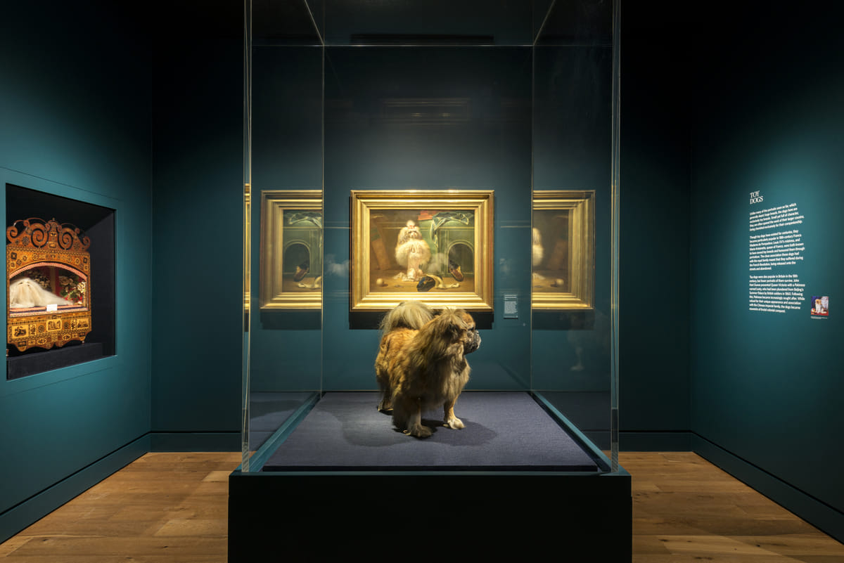 Portraits of Dogs: From Gainsborough to Hockney | Nissen Richards ...