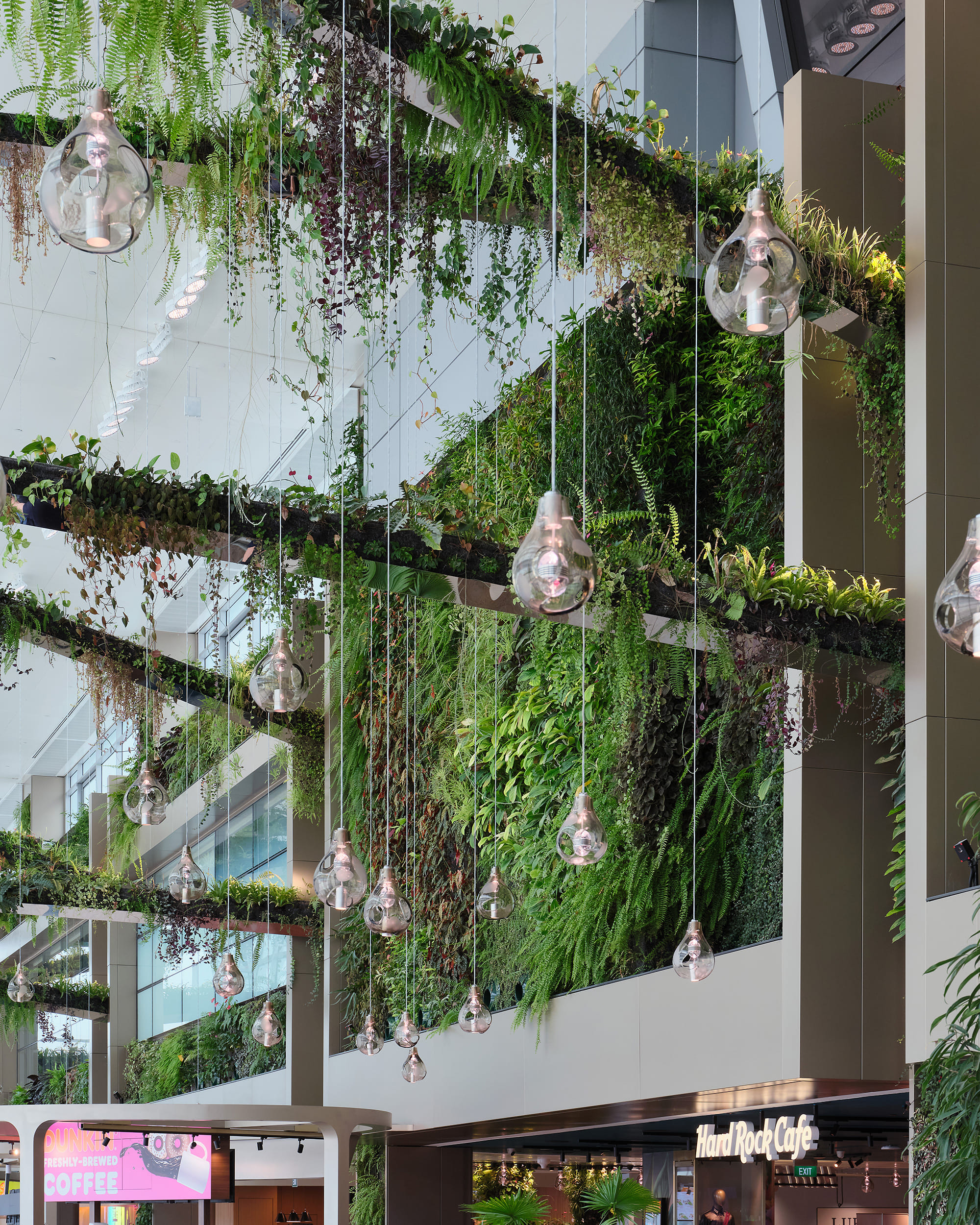 Singapore's Changi Airport gets travelers back to nature with biophilic ...
