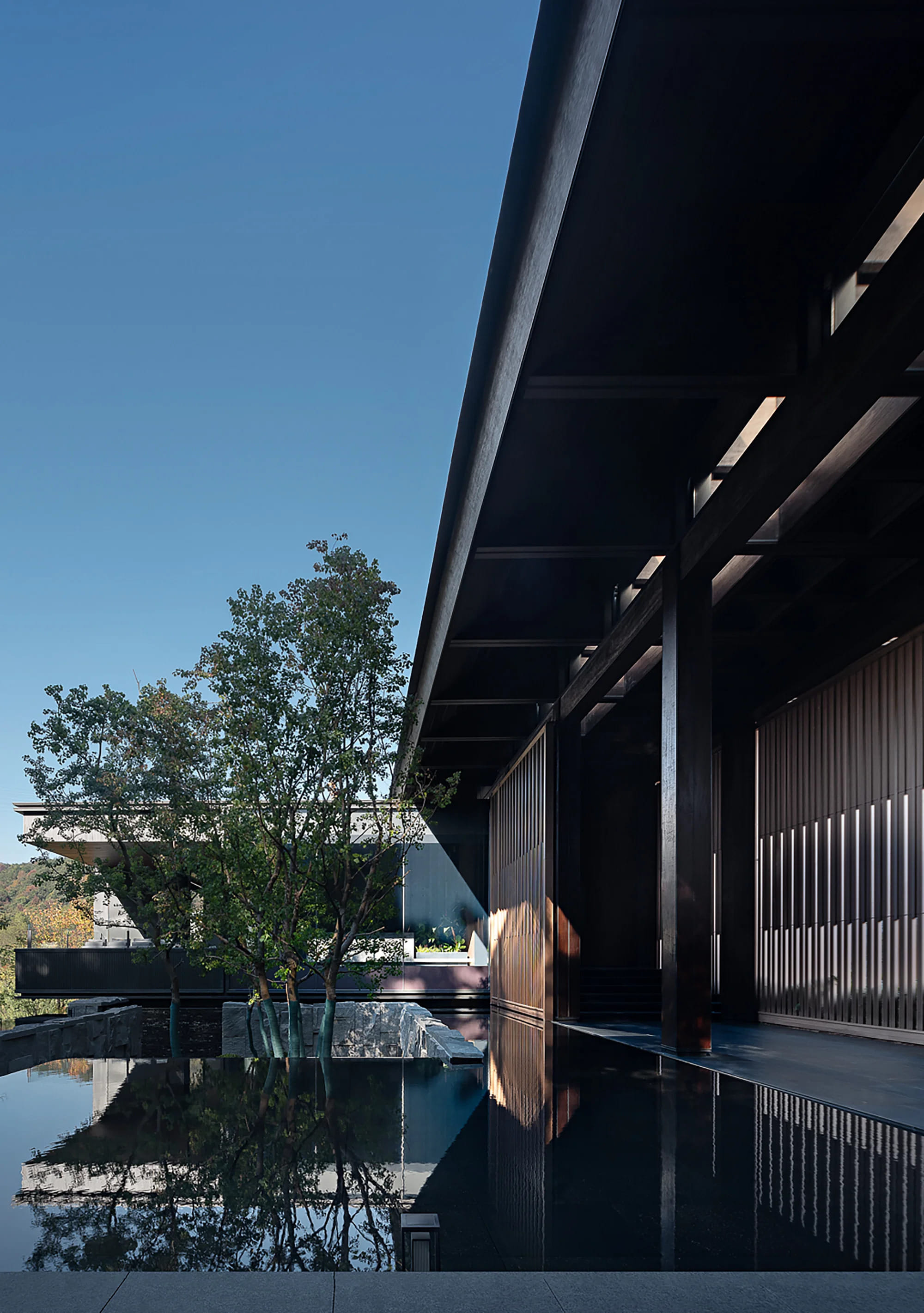 10 new examples of pools & ponds in architecture | News | Archinect