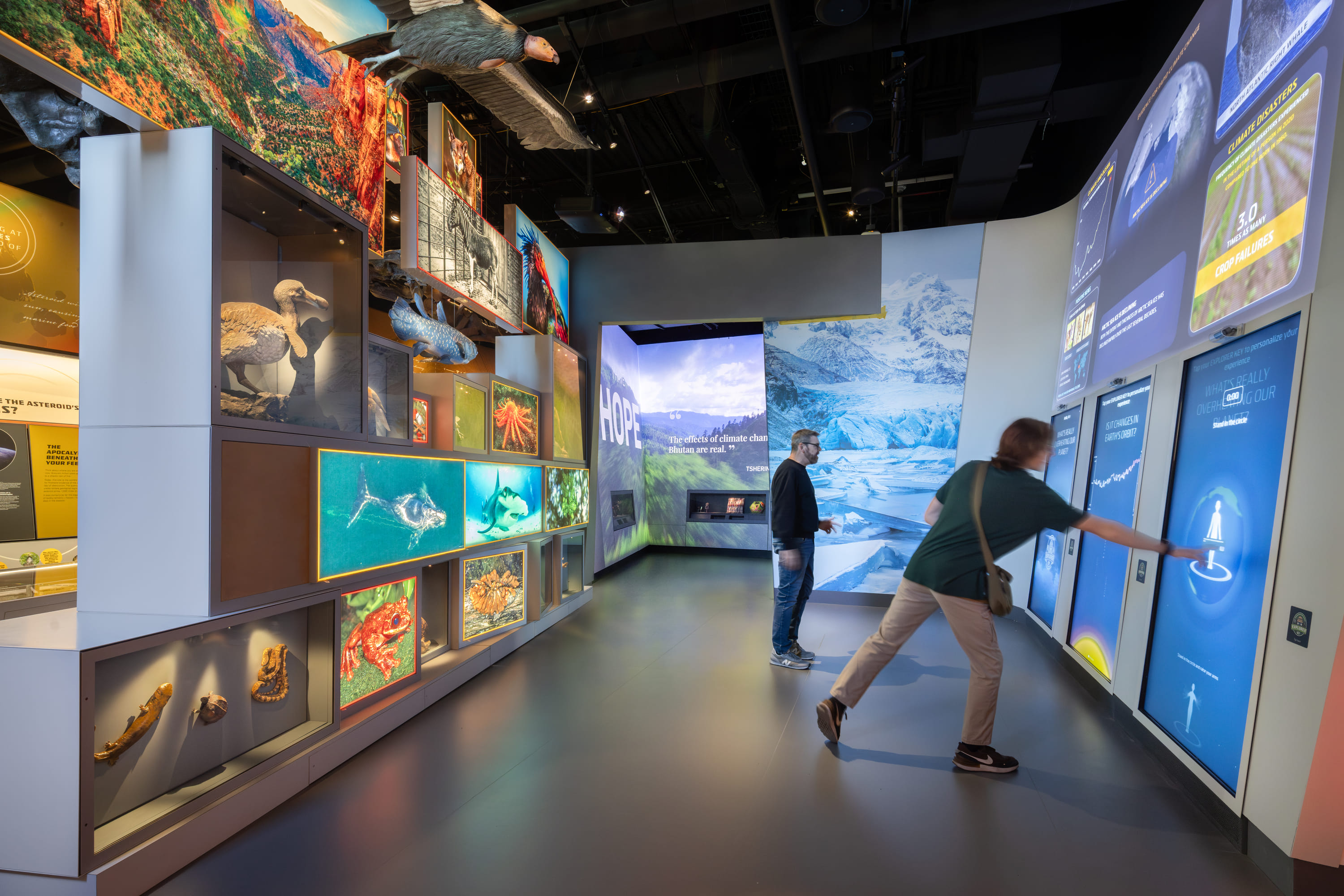 Ennead completes new dinosaur fossil museum for New Jersey's Rowan ...