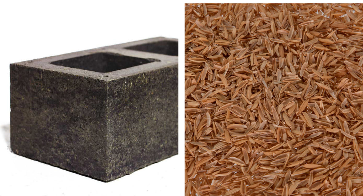 Arup proposes using food waste as building materials | News | Archinect