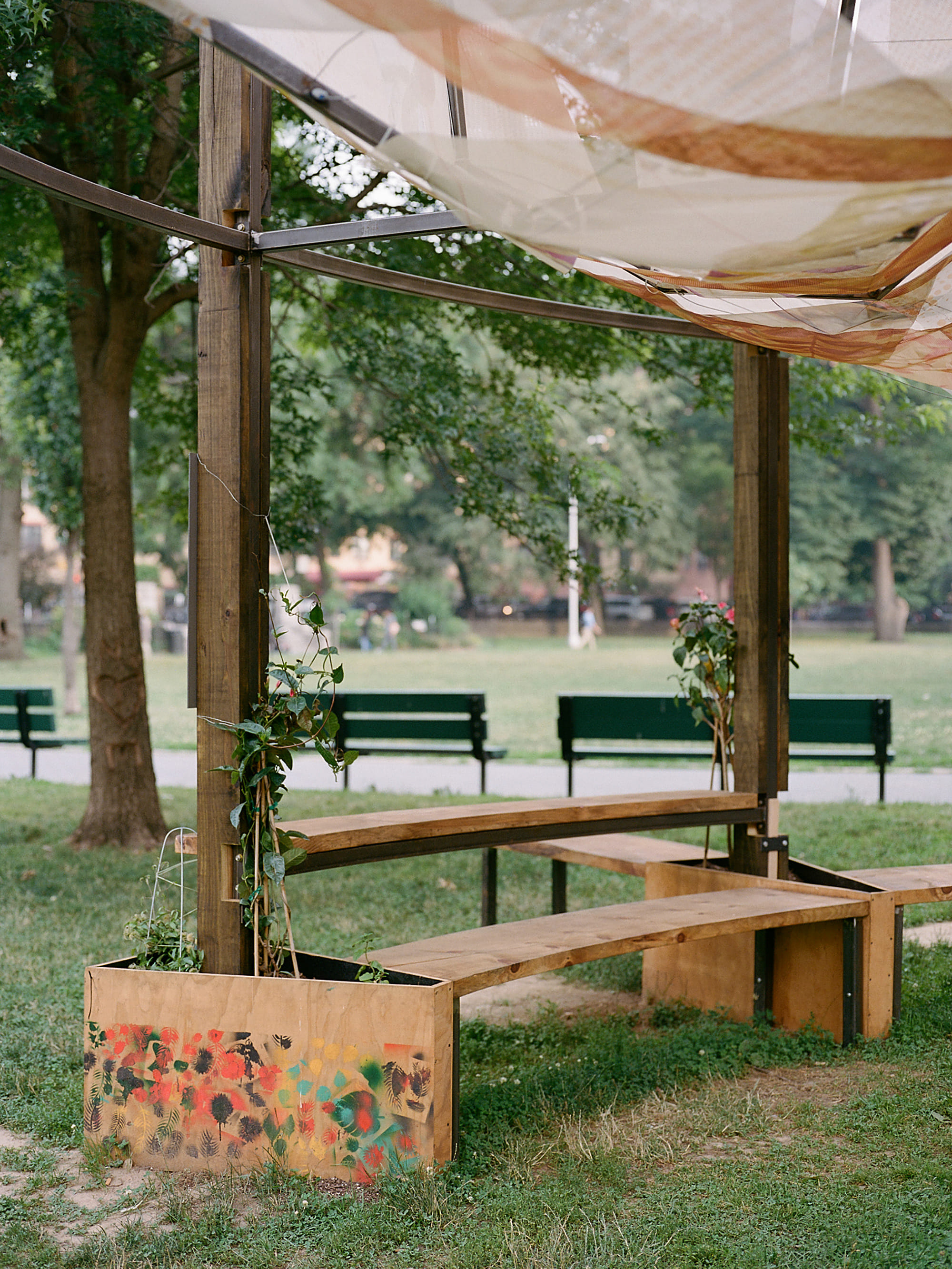 See photos from Harlem Grown and Jerome Haferd / BRANDT : HAFERD's ...