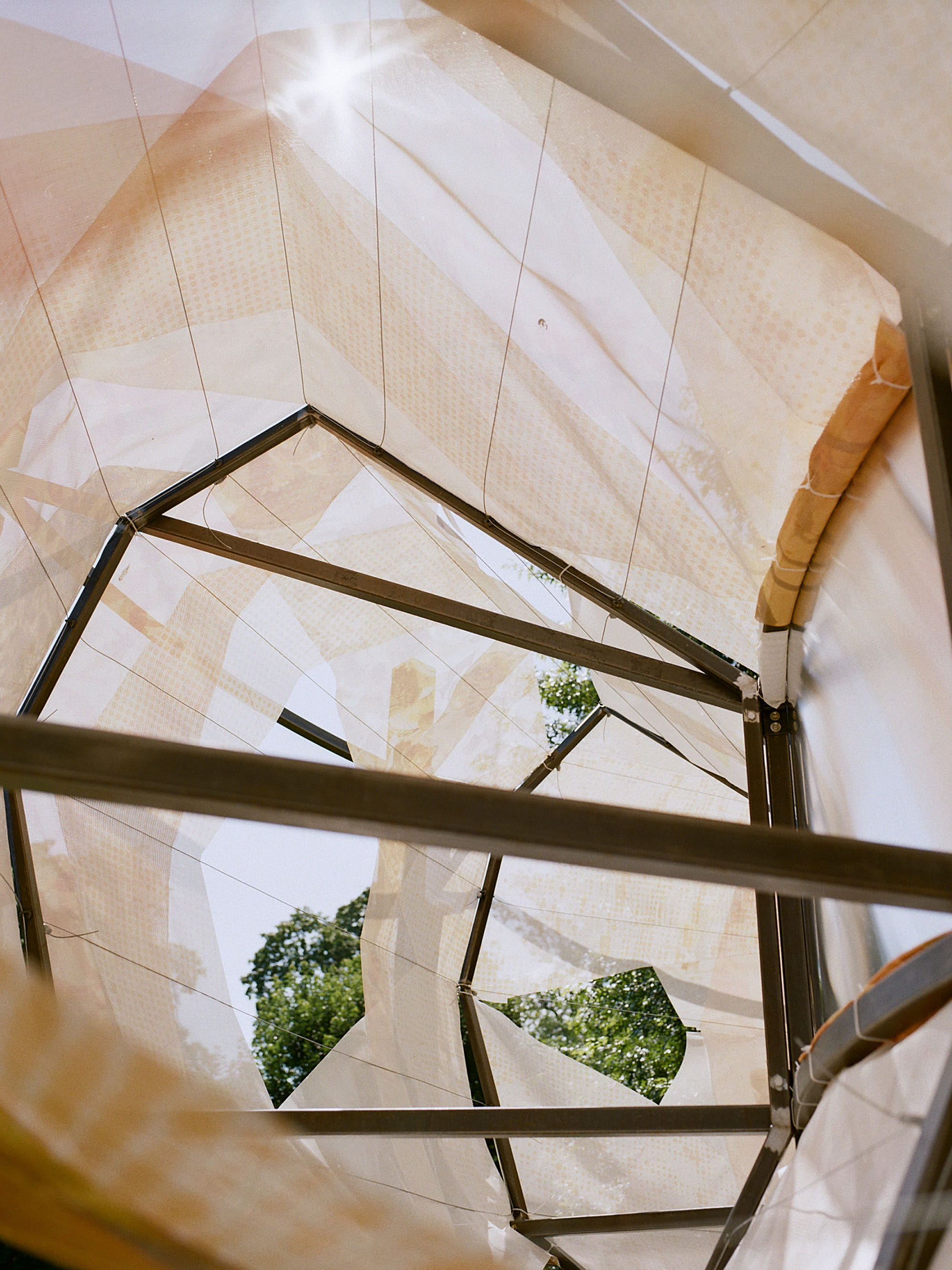 See photos from Harlem Grown and Jerome Haferd / BRANDT : HAFERD's ...