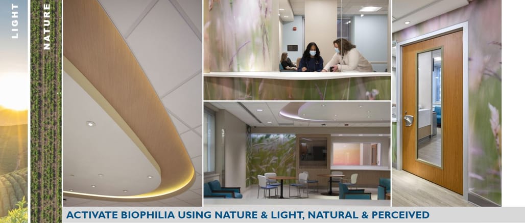 THE ARCHITECTURE OF MENTAL HEALTH - AIA CNJ | Blogs | Archinect