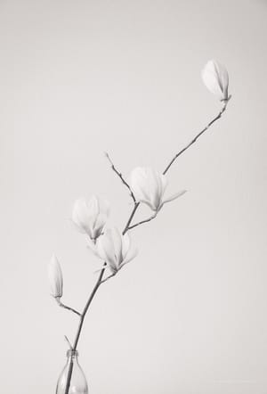 Danny Benjamin | Archinect