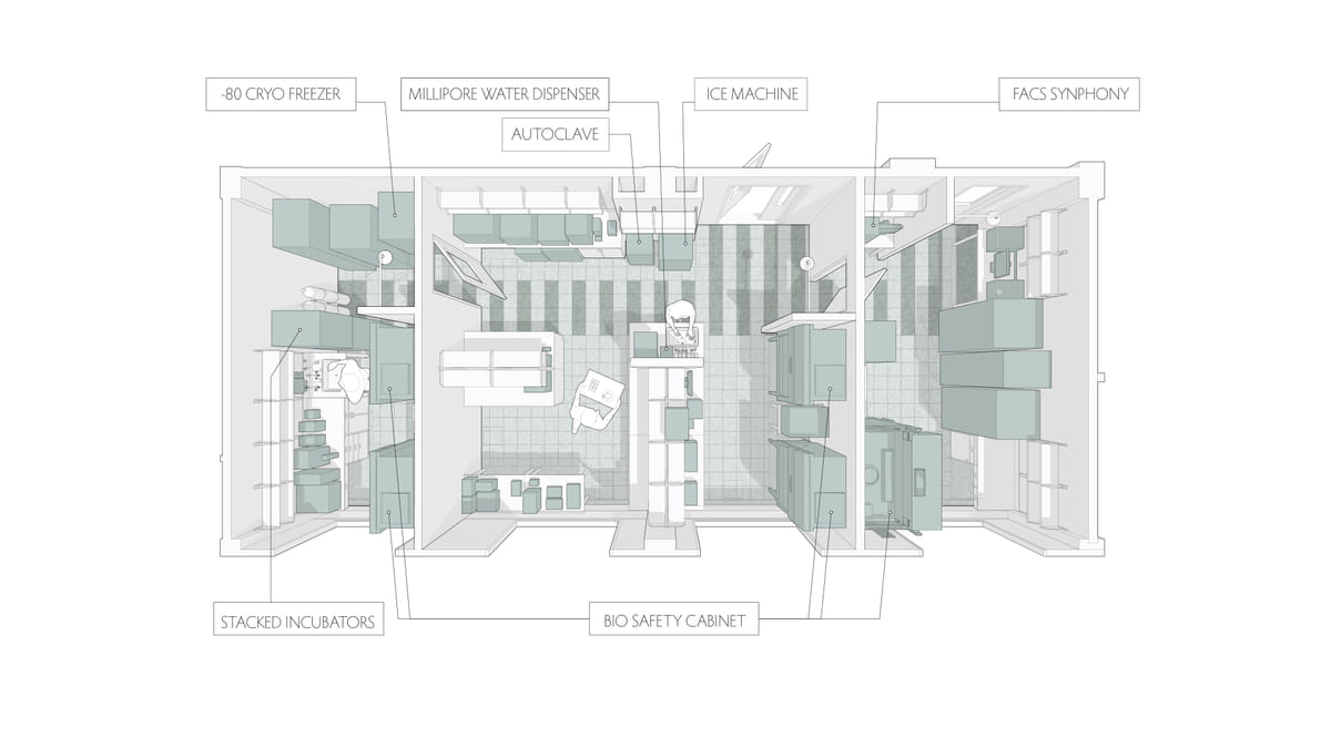 MIT Del Vecchio CRISPR Bio Lab | Peter Shanahan | Archinect