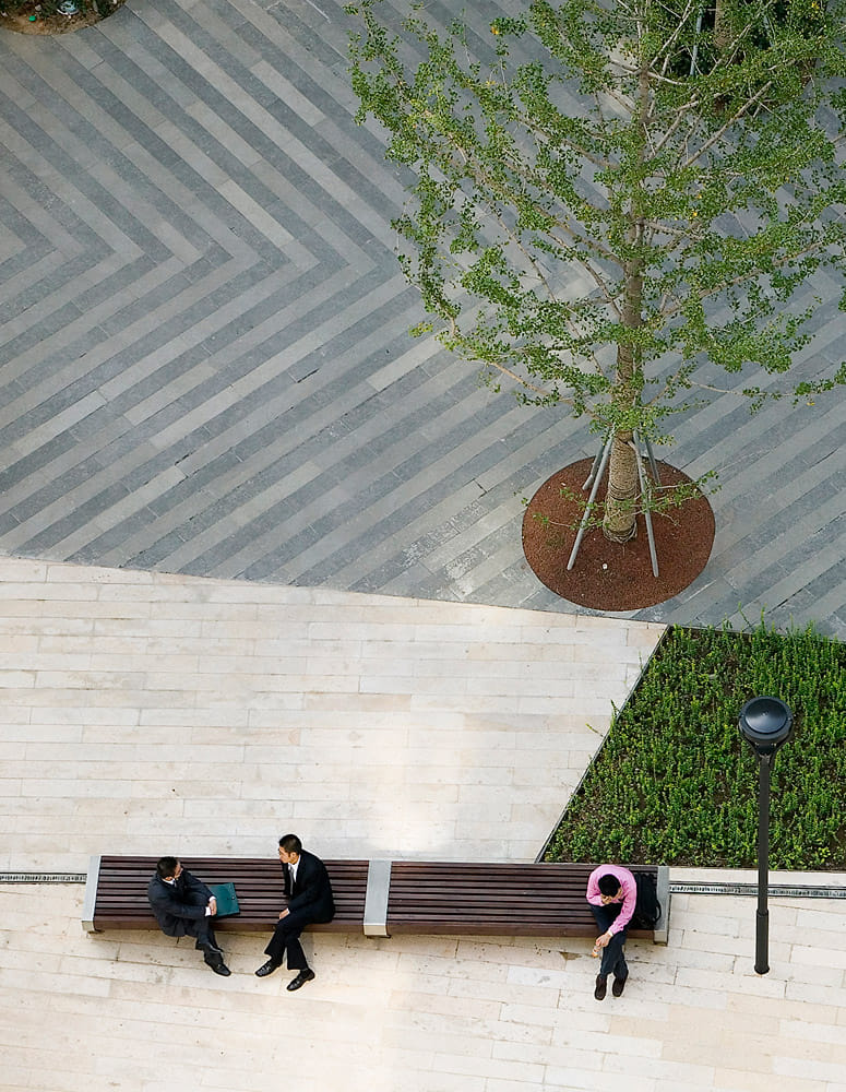 What is a Park - Landscape or Infrastructure | Features | Archinect