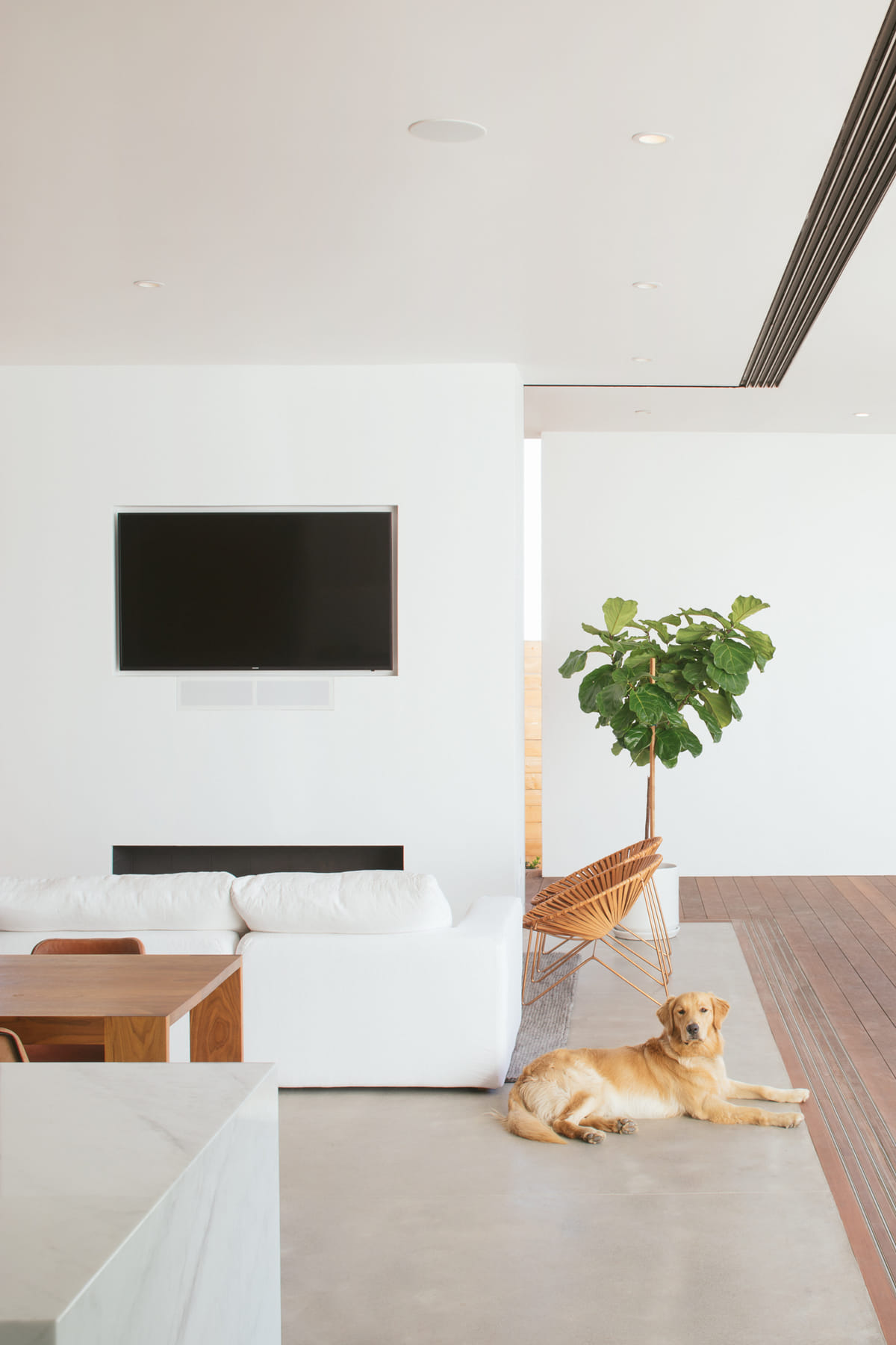 Minimalist Urban Residence | ANACAPA | Archinect