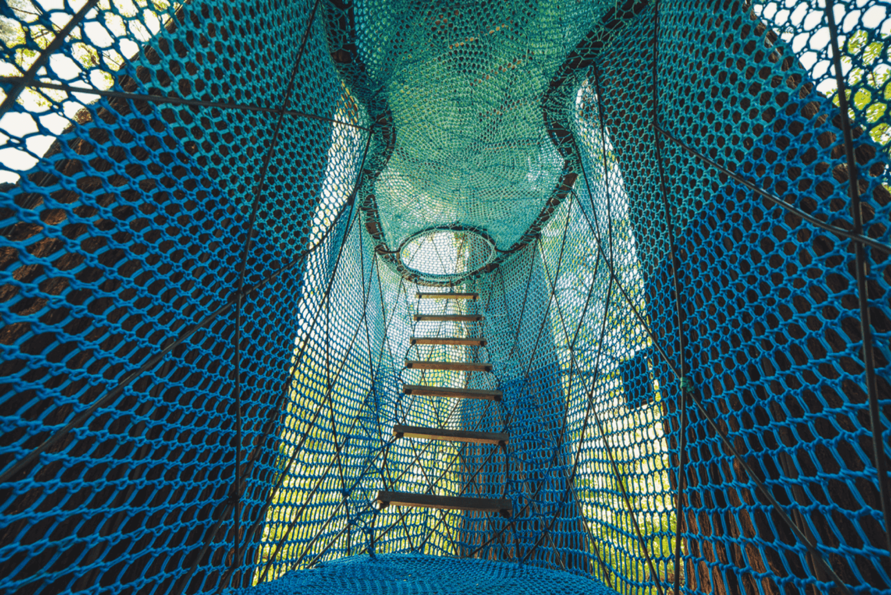 In California’s forests, a ‘whimsical’ treehouse rises inspired by ...
