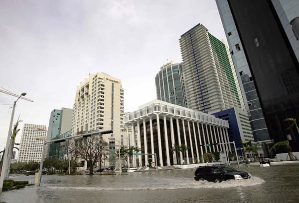 Goodbye, Miami: Why the City Is Doomed to Drown | News | Archinect