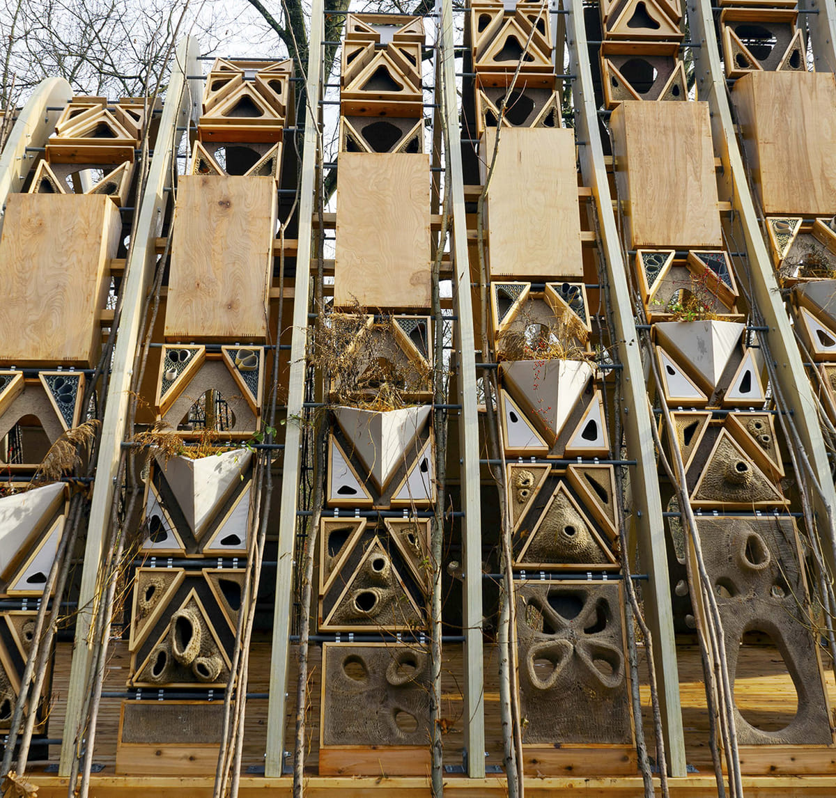 Fab Tree Hab: Multi-Species Living Structure | Terreform ONE | Archinect