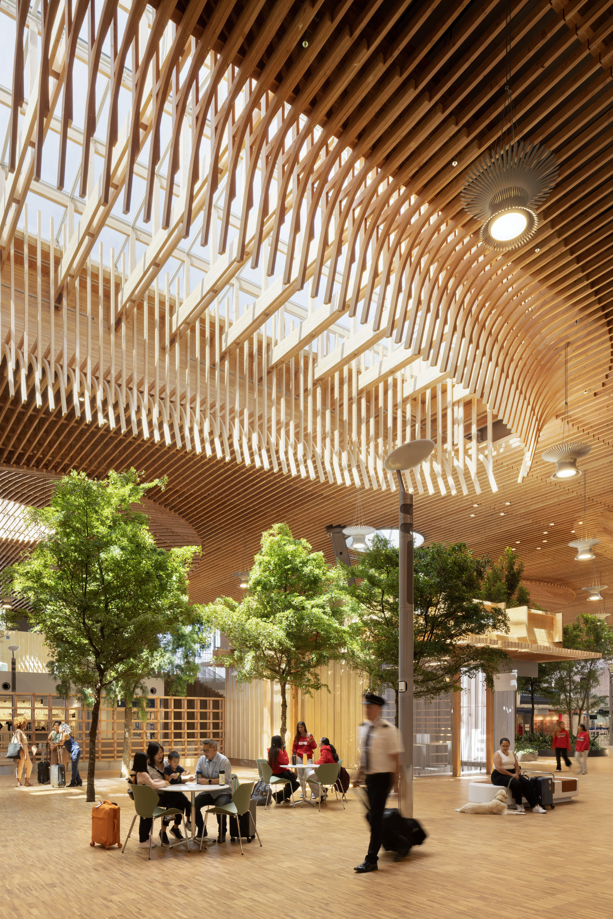 ZGF's groundbreaking mass timber airport terminal design debuts in ...