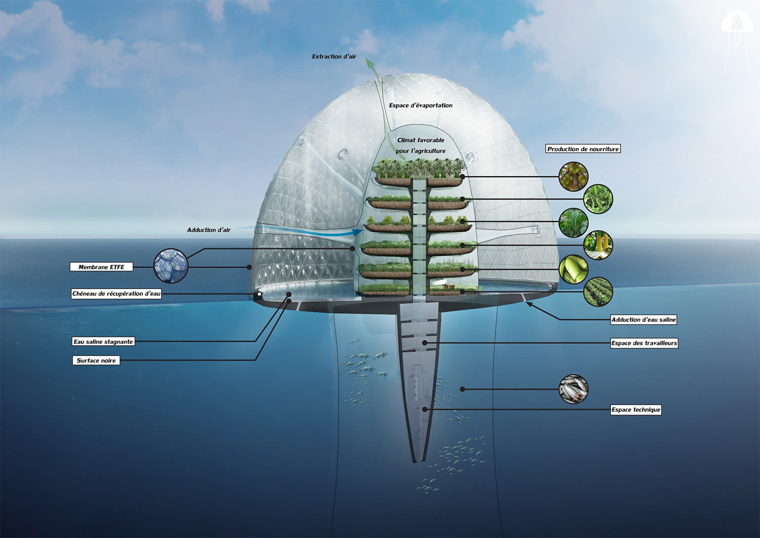 Seawater greenhouse agriculture with Ocean Distiller Farm