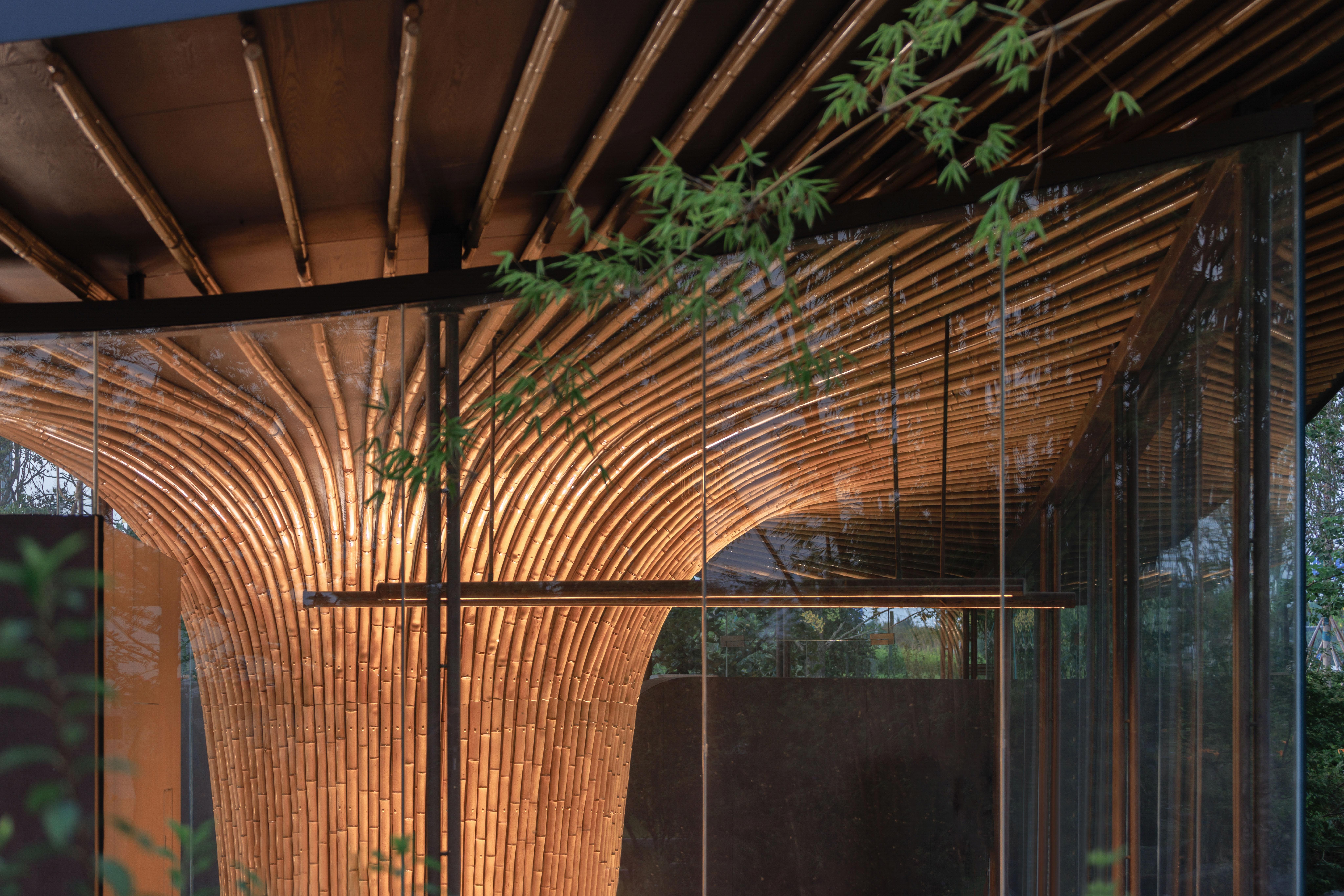 Enjoying the Cool Beneath the Large Leaves: The 2024 Chengdu ...