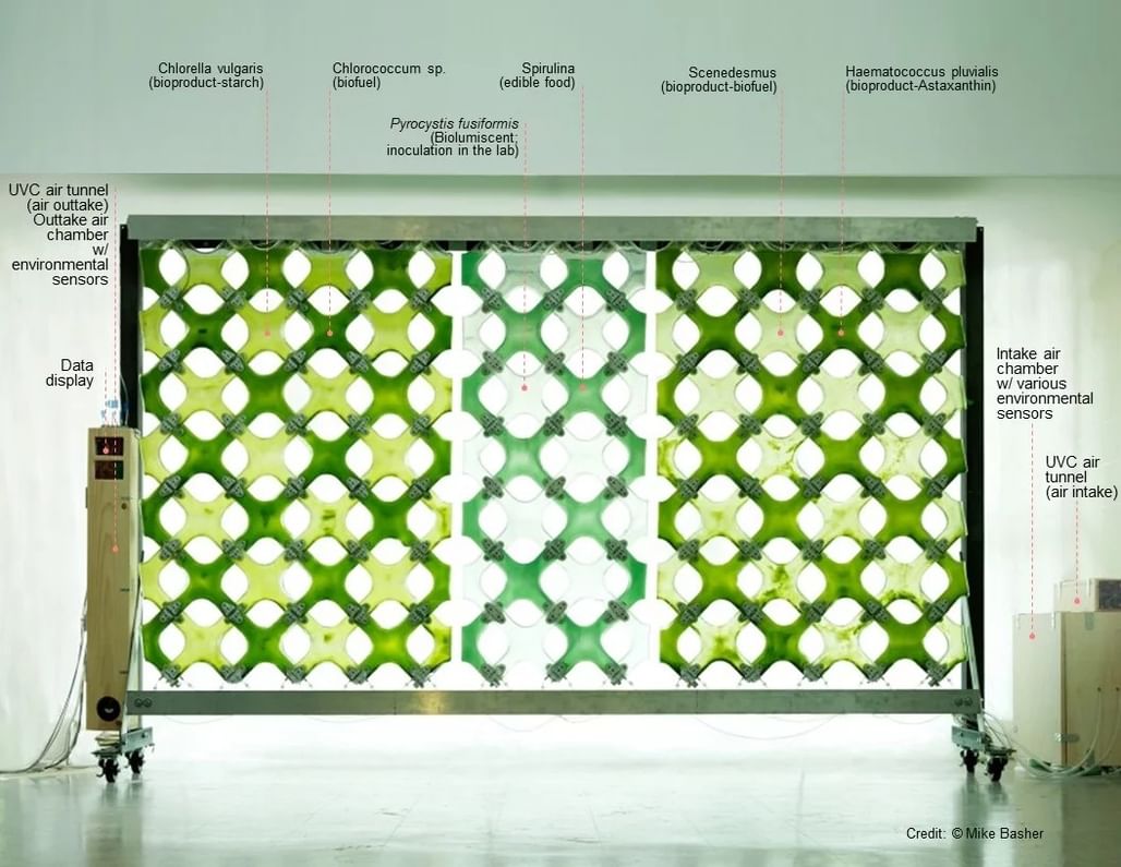 UNC Charlotte architecture professor awarded $1 million grant towards ...