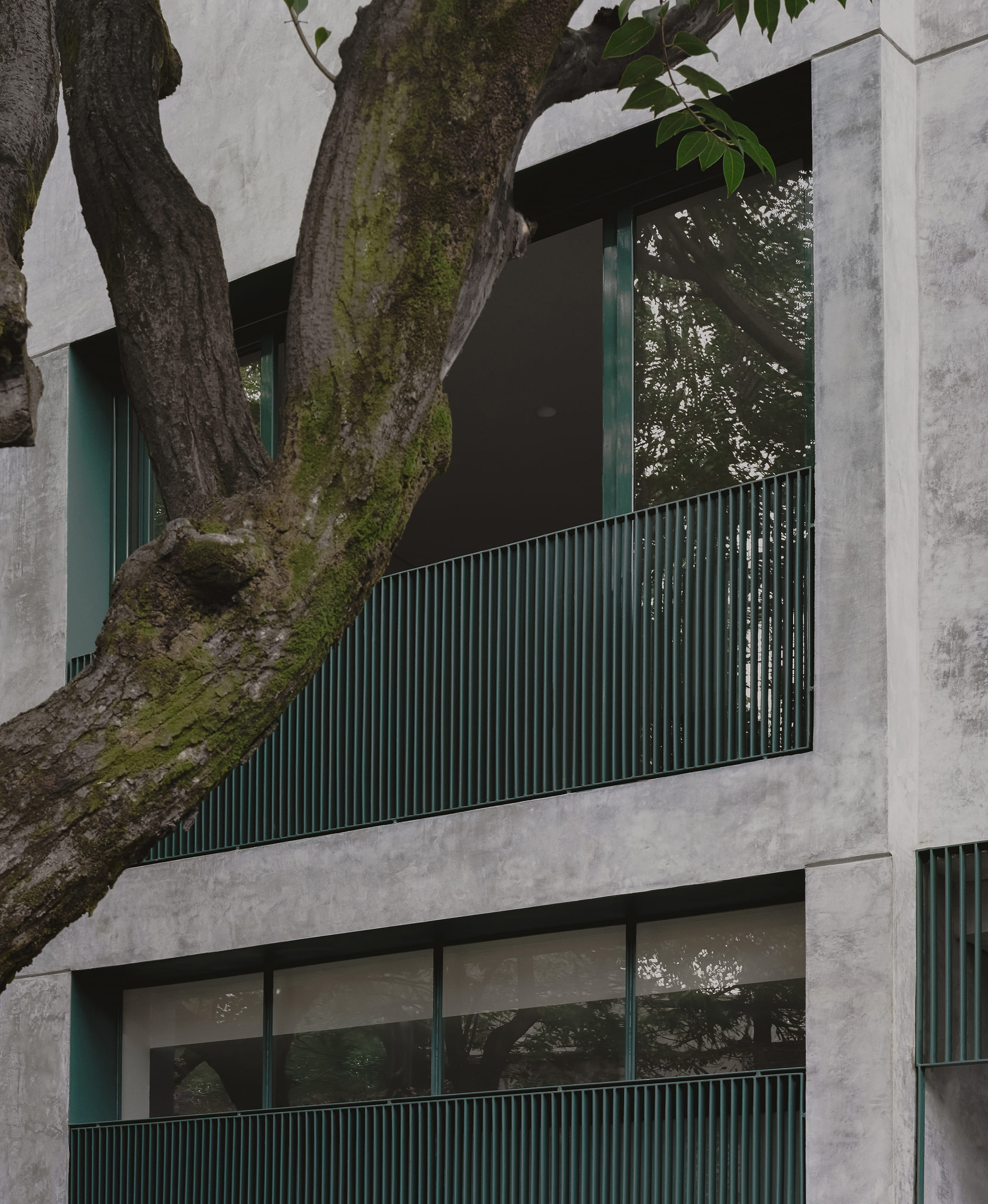 Casa Sofia | AMASA Estudio, Andrea López + Agustín Pereyra | Archinect