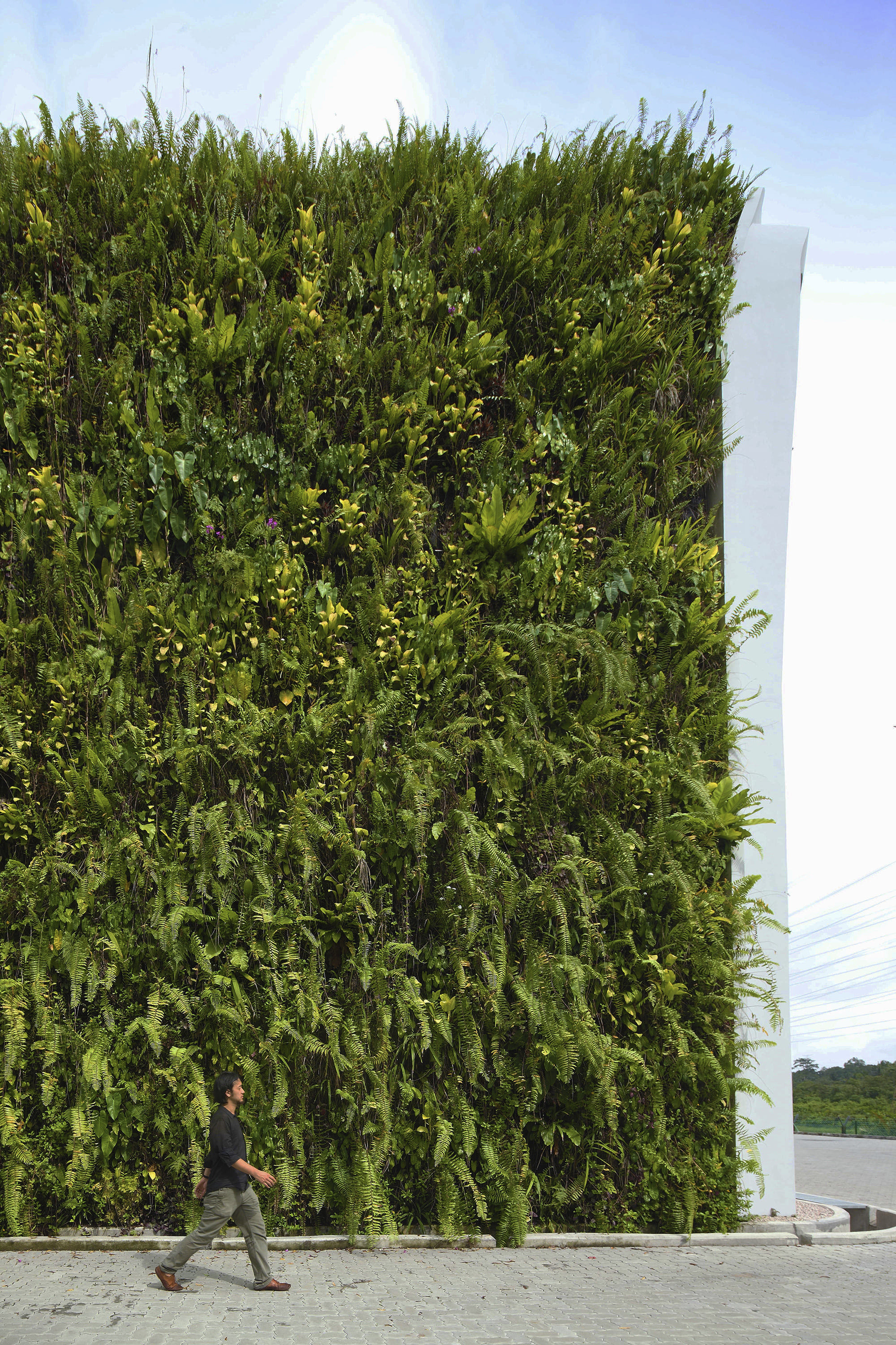 Biophilia: 10 new examples of nature and the built environment ...