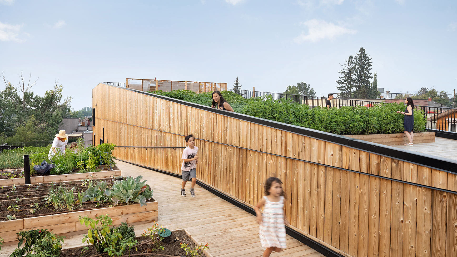 Fostering community through multi-residential housing and rooftop urban ...