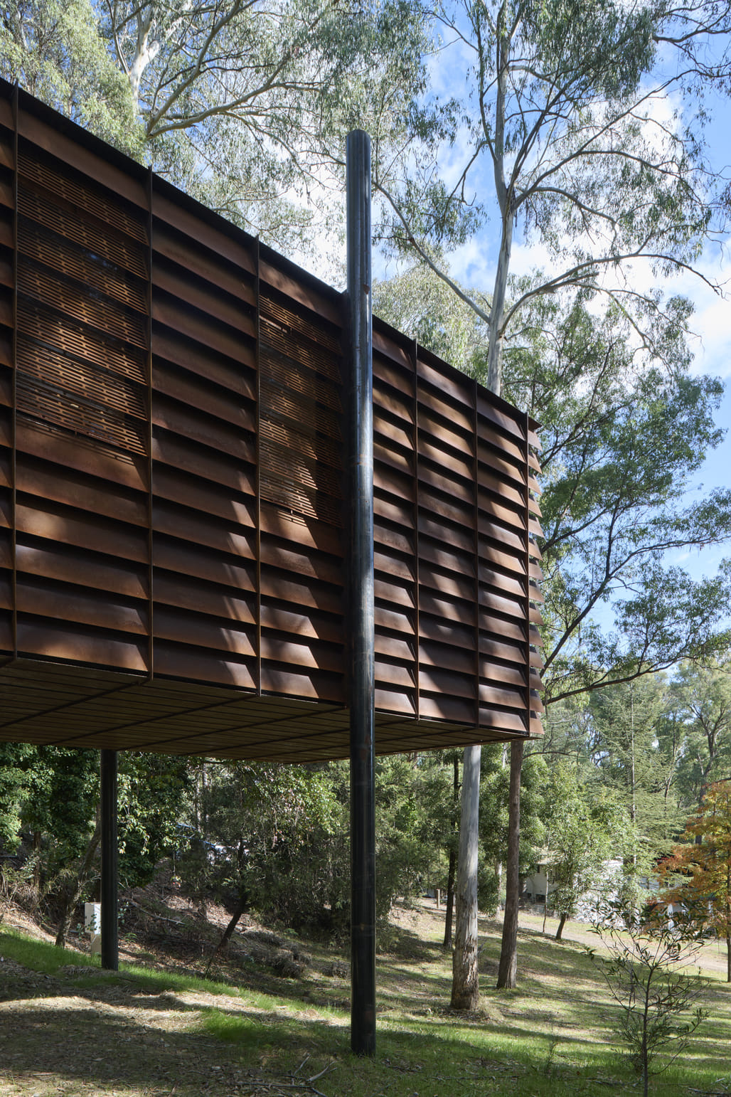 Robbie Walker's Sawmill Treehouse blends into the trees through its ...
