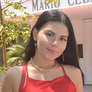 Paula Marcela Sierra Garcia | Archinect