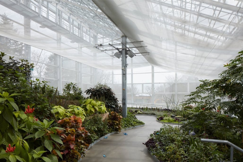 A look inside Montreal’s award-winning Insectarium | News | Archinect
