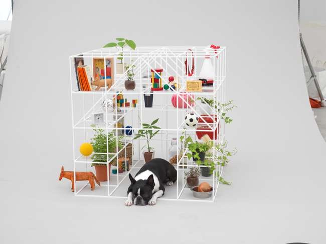 Renowned Japanese architects commissioned by Muji to design doghouses ...