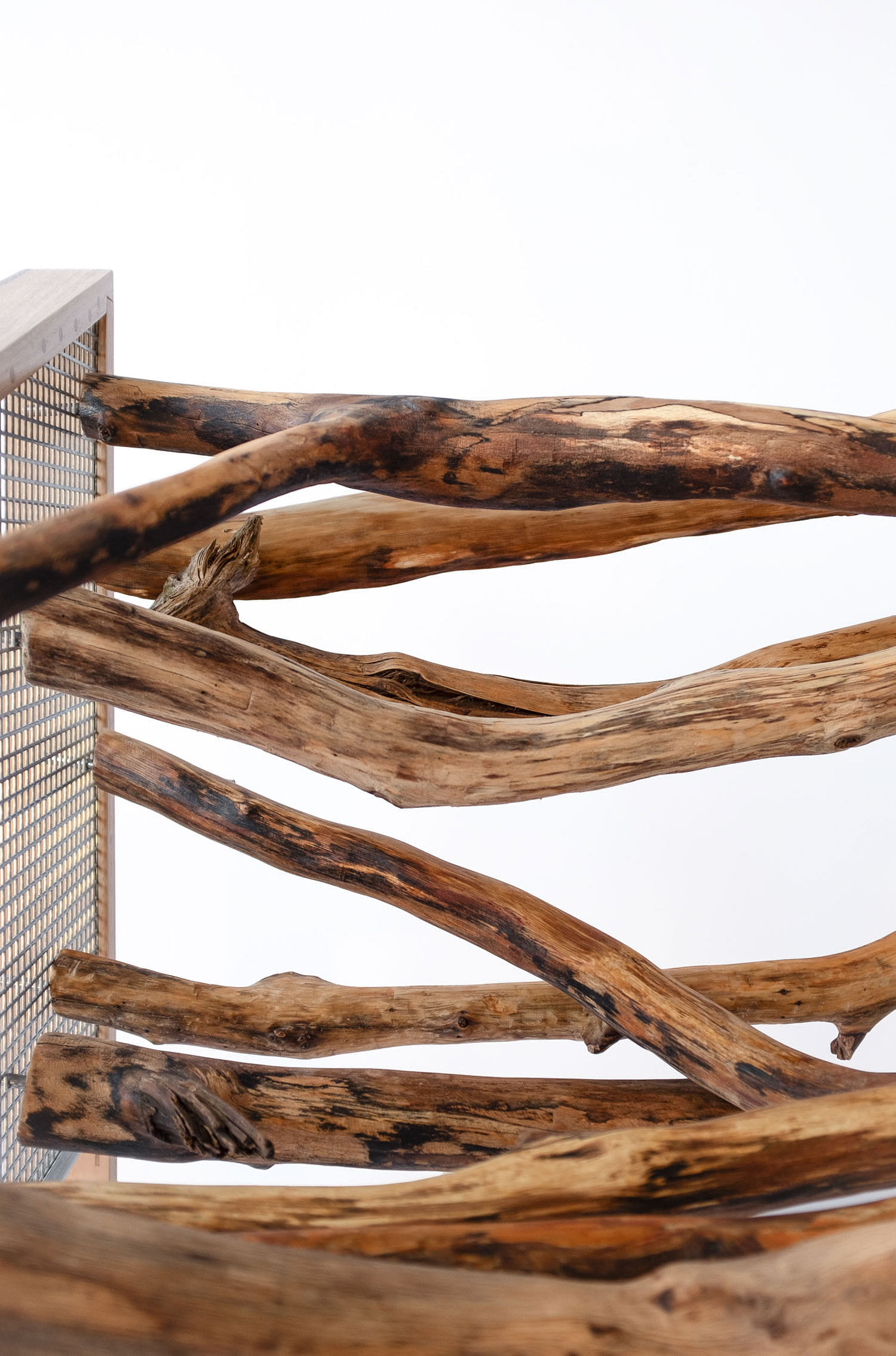 An armchair for each month of the year: Architect Adorján Portik's ...