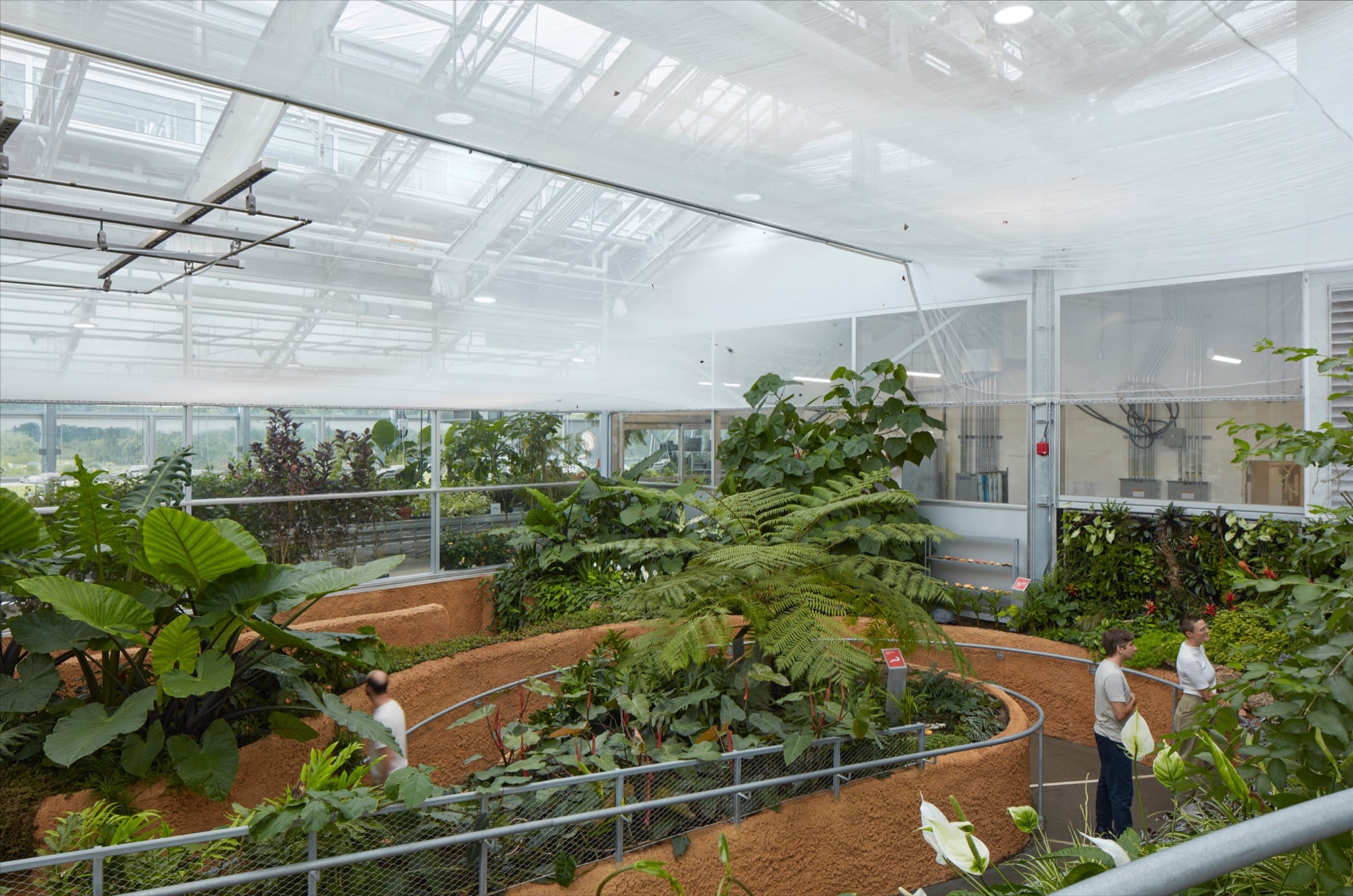 A look inside Montreal’s award-winning Insectarium | News | Archinect