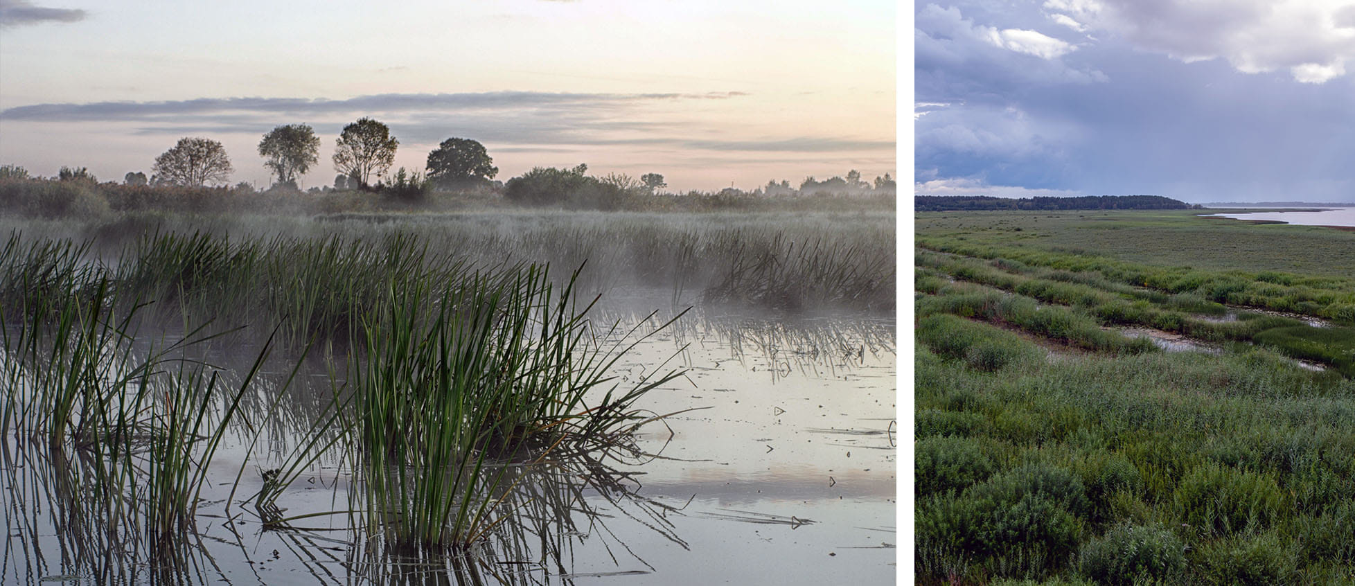 Kurgi Observation Tower
