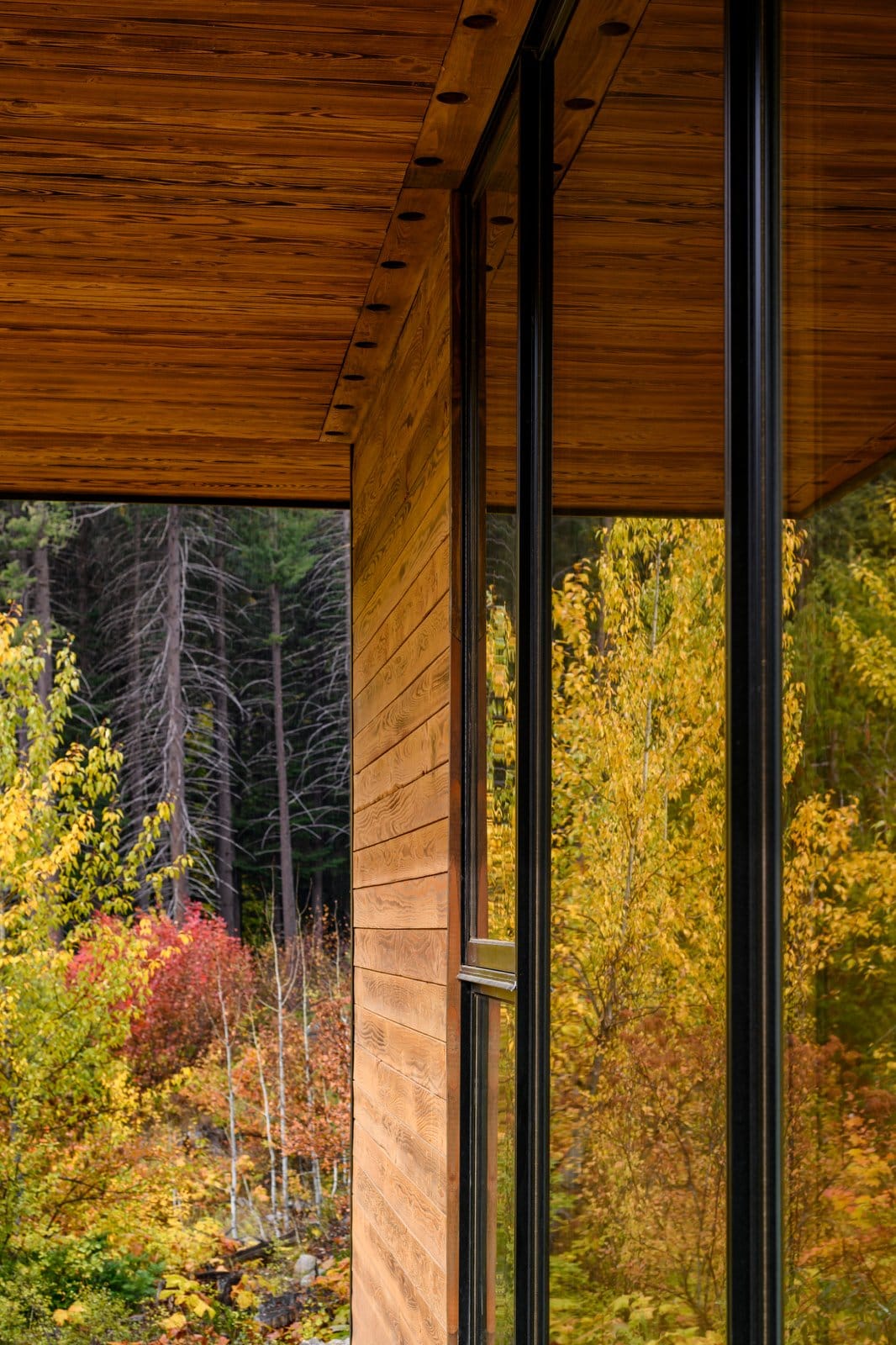 Split Cabin | Syndicate Smith | Archinect