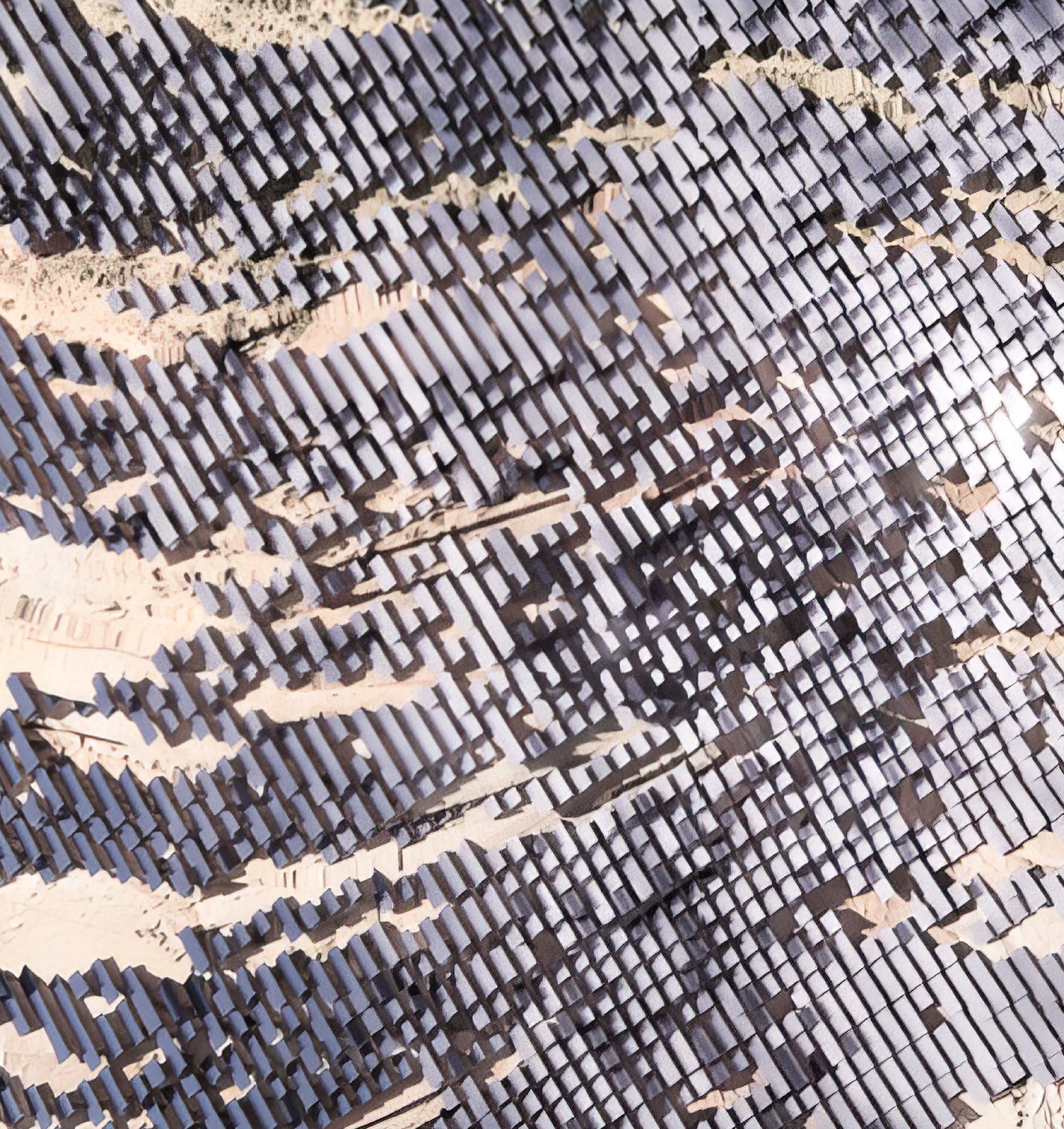 AI, Complexity, and Ecological Futures: A Conversation with Alisa ...