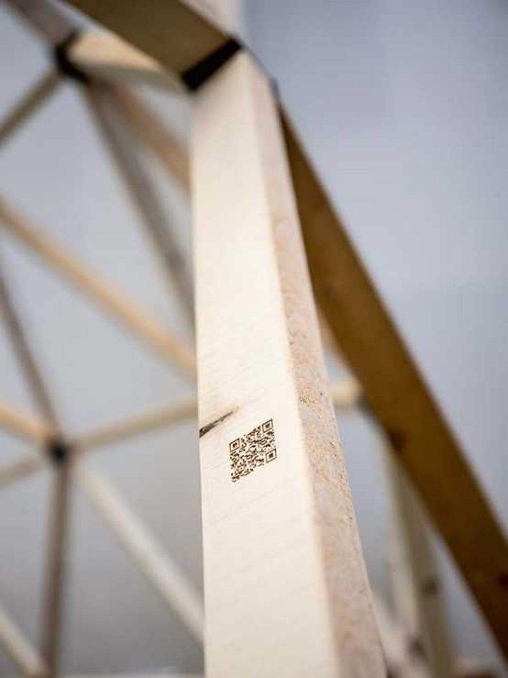 ETH Zurich students construct timber dome entirely from waste materials ... ETH Zurich students construct timber dome entirely from waste materials ...