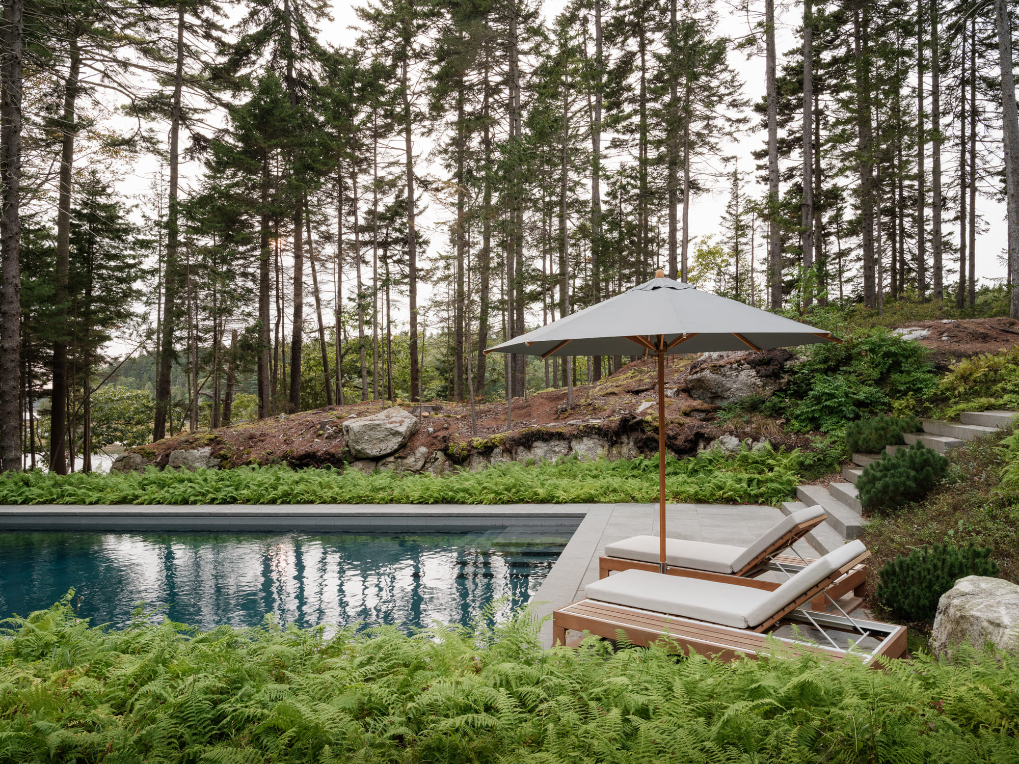 Pine Cove | Woodhull | Archinect
