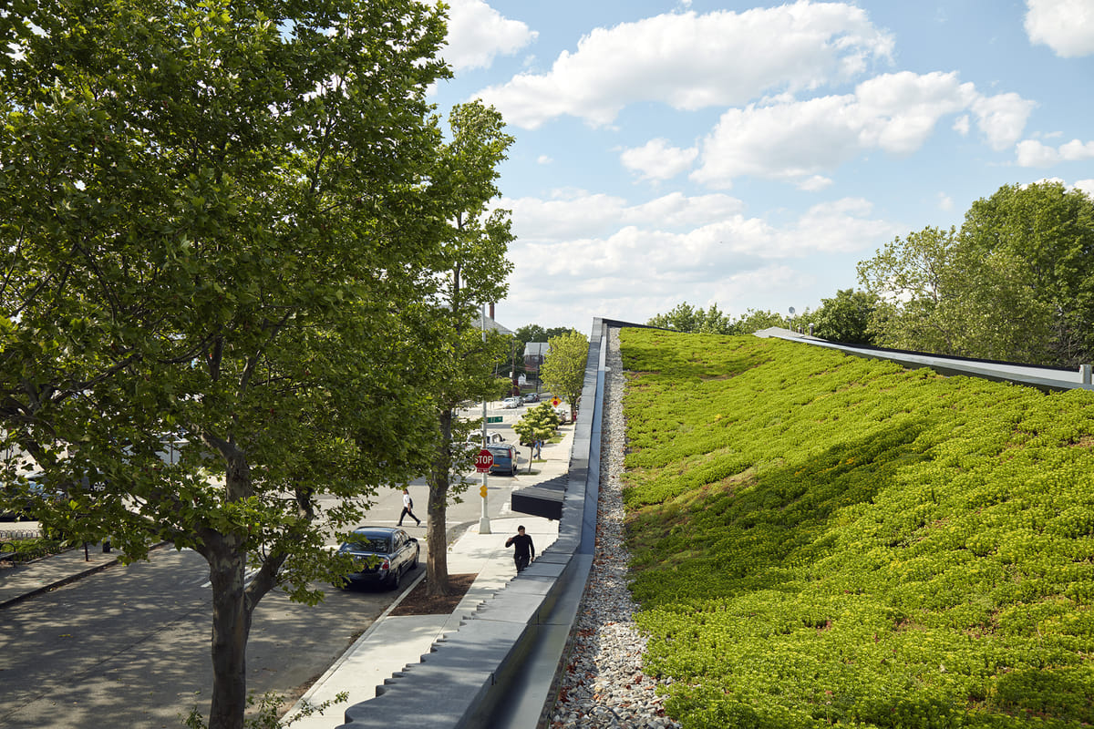 Kew Gardens Hills Library | WORKac | Archinect