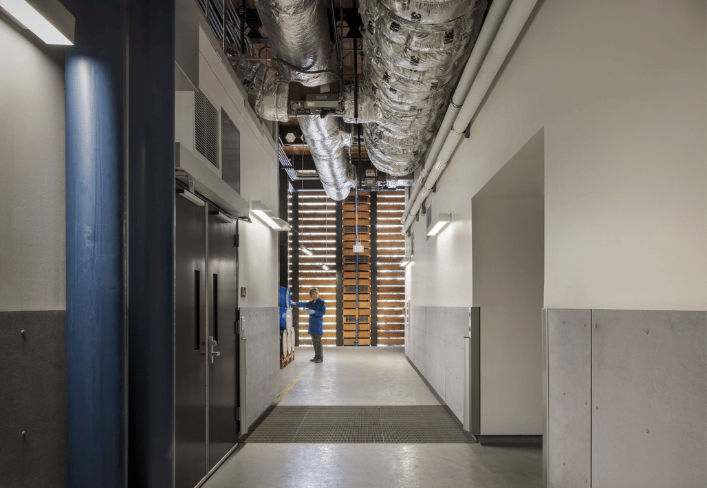 Miller Hull's redwood laboratory for UC Santa Cruz aims to be light on ...