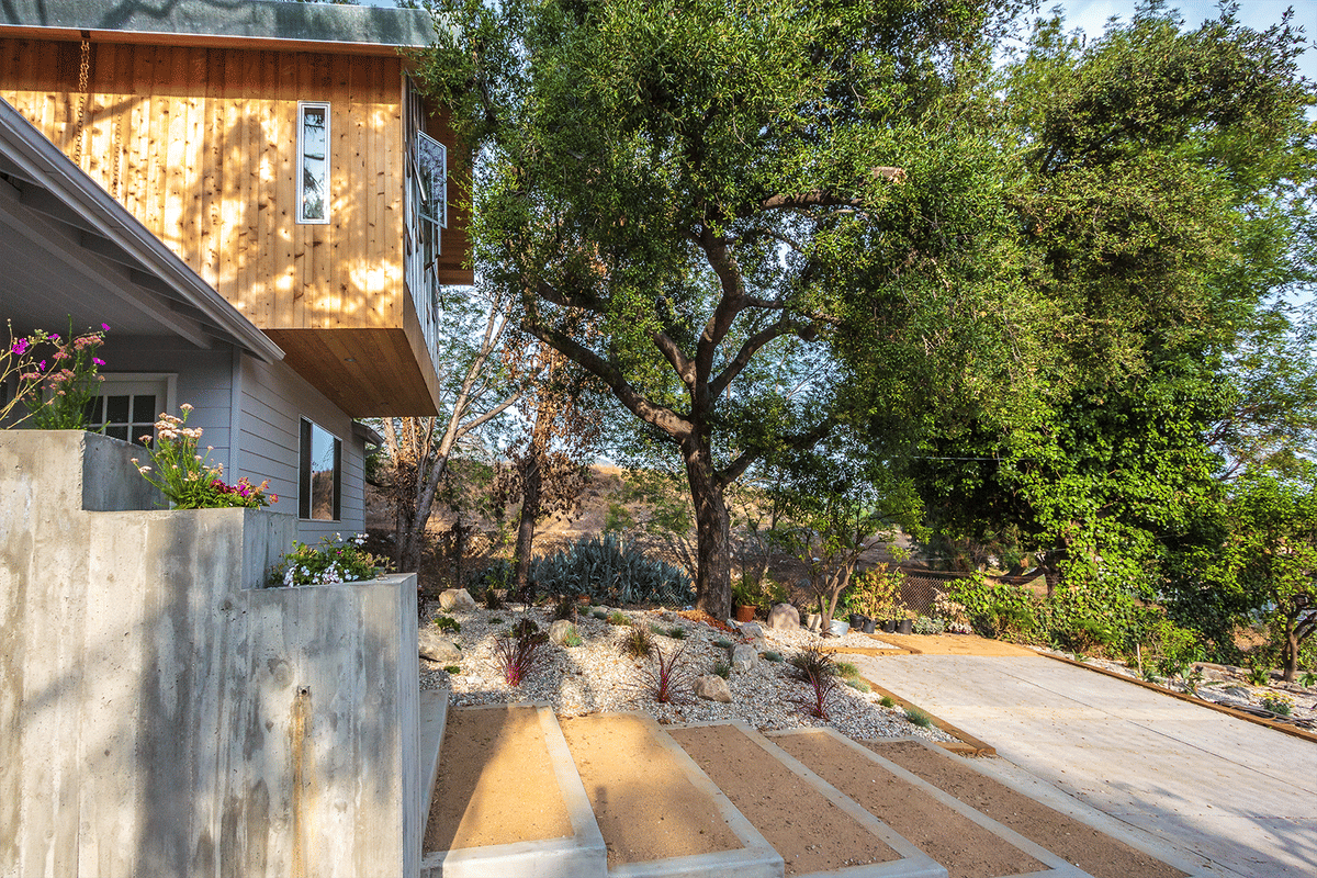 The Tree House | LOC Architects | Archinect