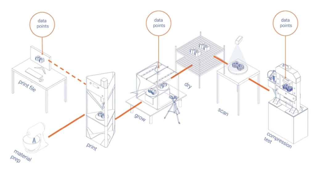 Stuttgart researchers explore 3D-printed mycelium structures | News ...