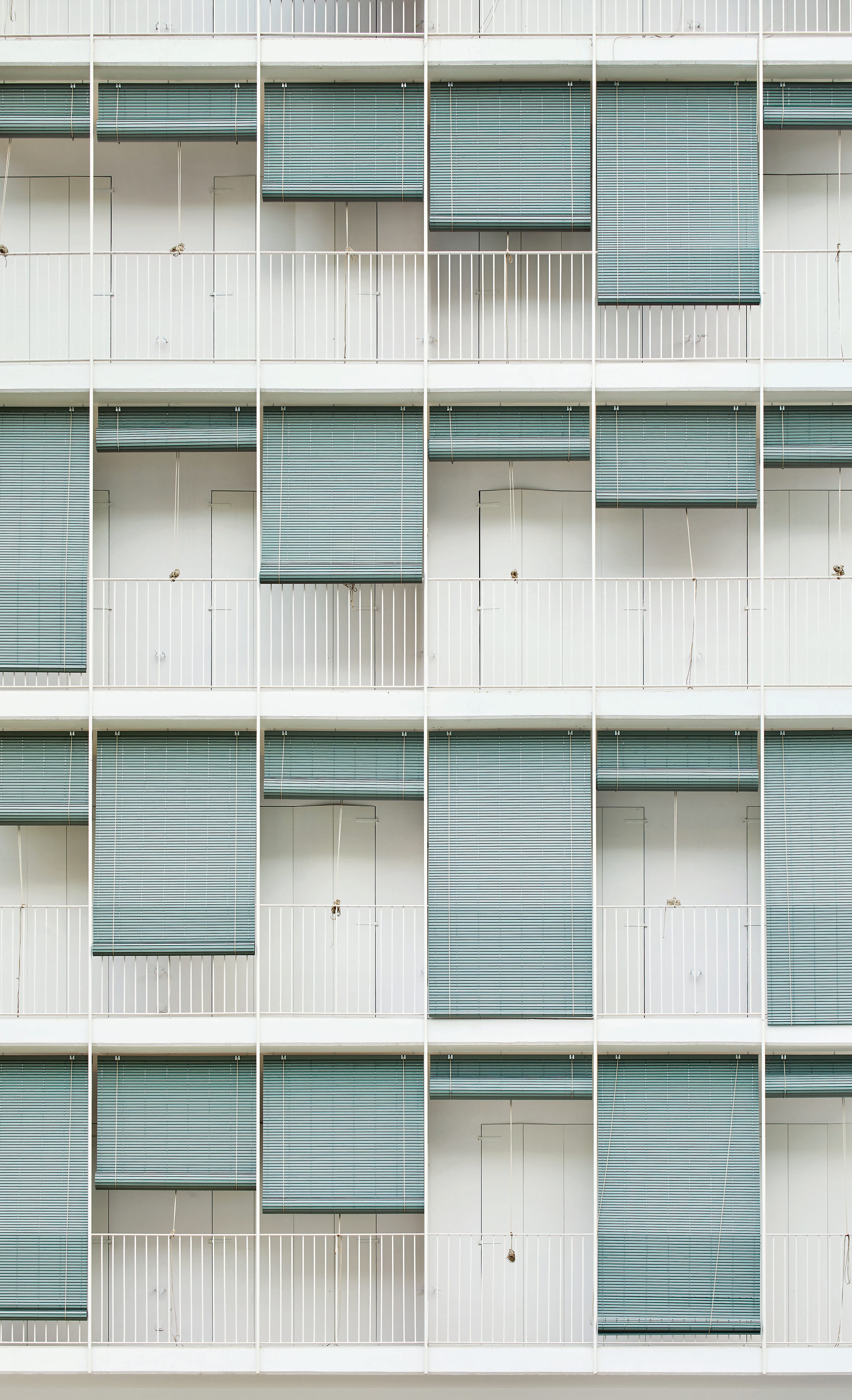 A House Without A Hierarchy | Features | Archinect