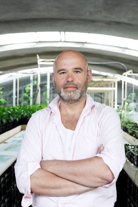 Guus Beumer named director of new architecture, design and e-culture ...