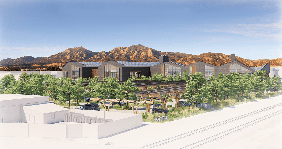 Conscience Bay Co. selects design and development team for new life ...
