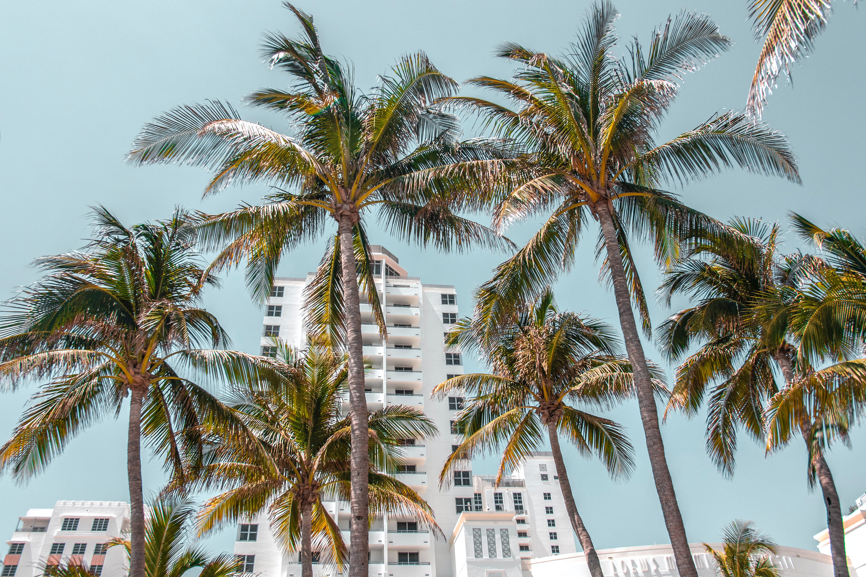 8 featured jobs in Miami for architects, interior, and lighting ...
