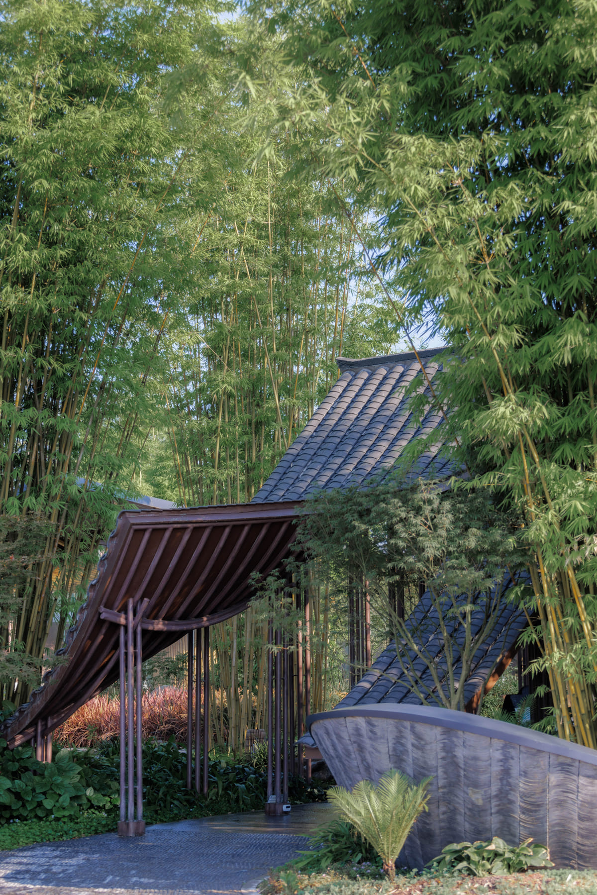 Enjoying the Cool Beneath the Large Leaves: The 2024 Chengdu ...