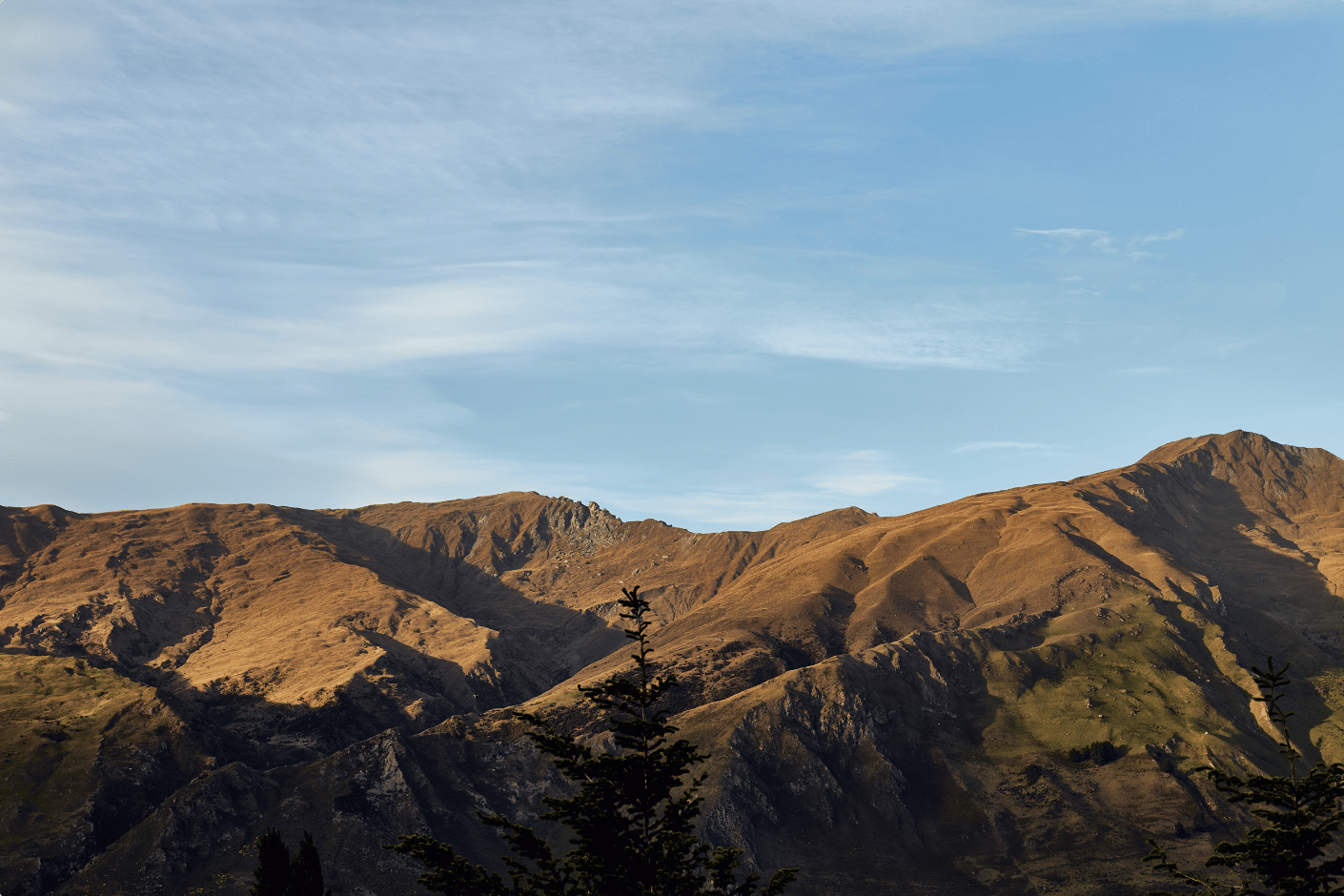 Te Pakeke House | Fearon Hay Architects | Archinect