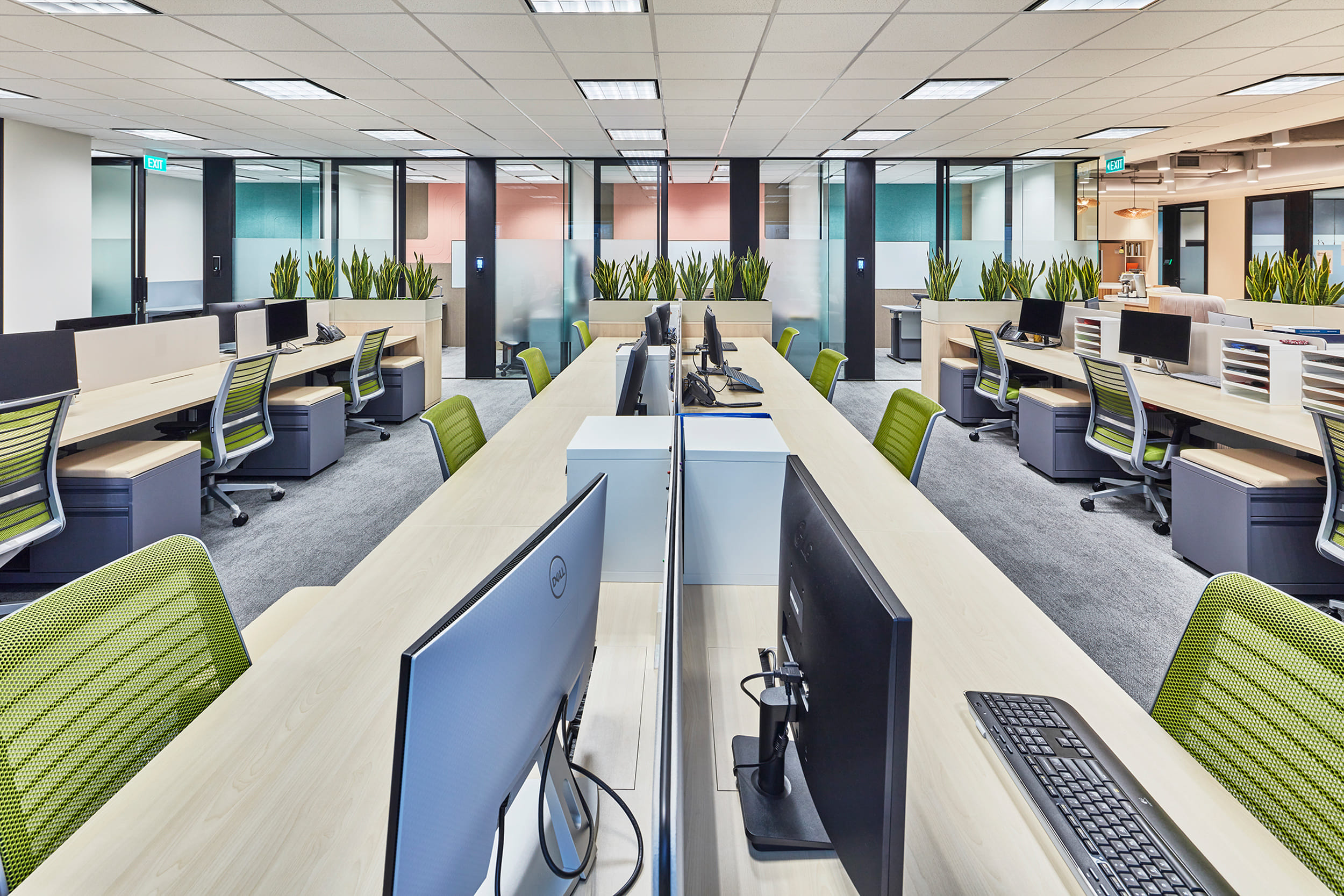TOP International Office | Conexus Studio | Archinect