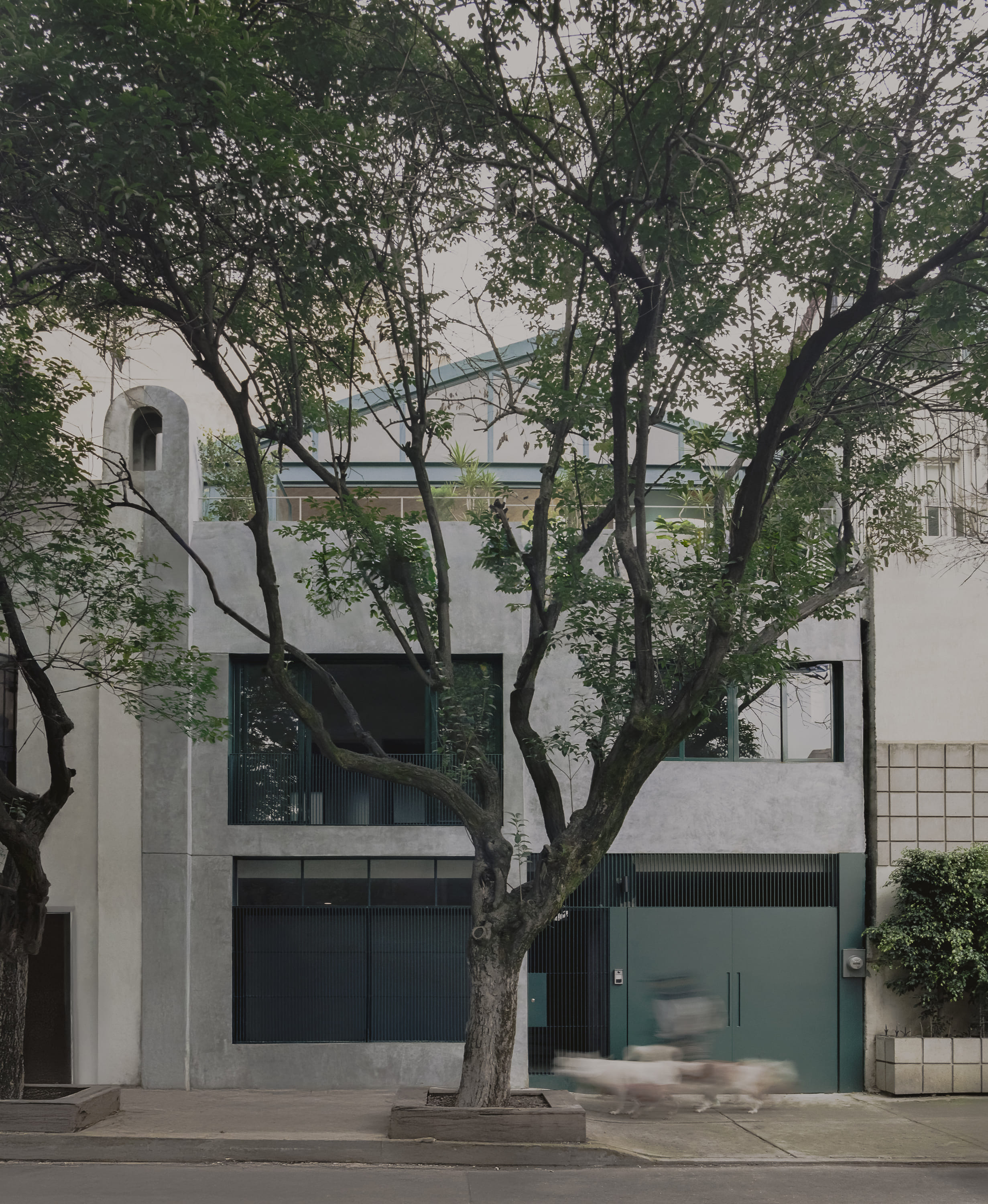 Casa Sofia | AMASA Estudio, Andrea López + Agustín Pereyra | Archinect