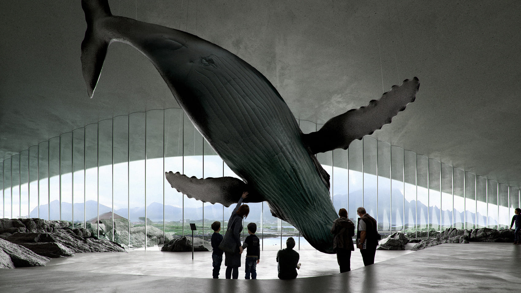 The Whale, a new Norwegian marine wildlife museum, selects Ralph ...