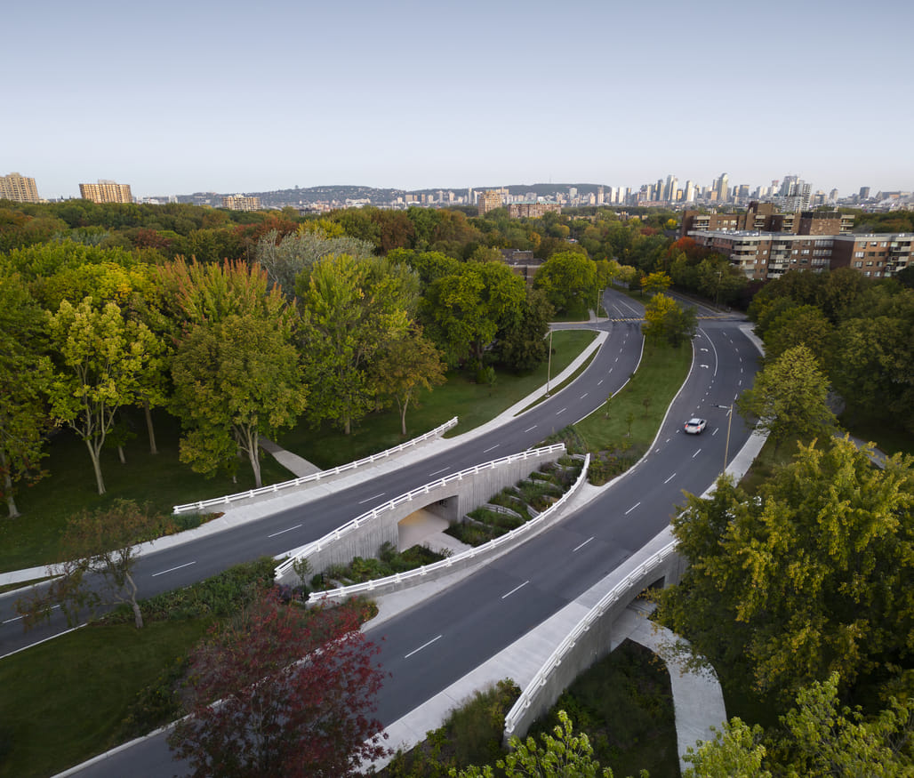 For World Engineering Day, these six bridges stand as examples of the ...